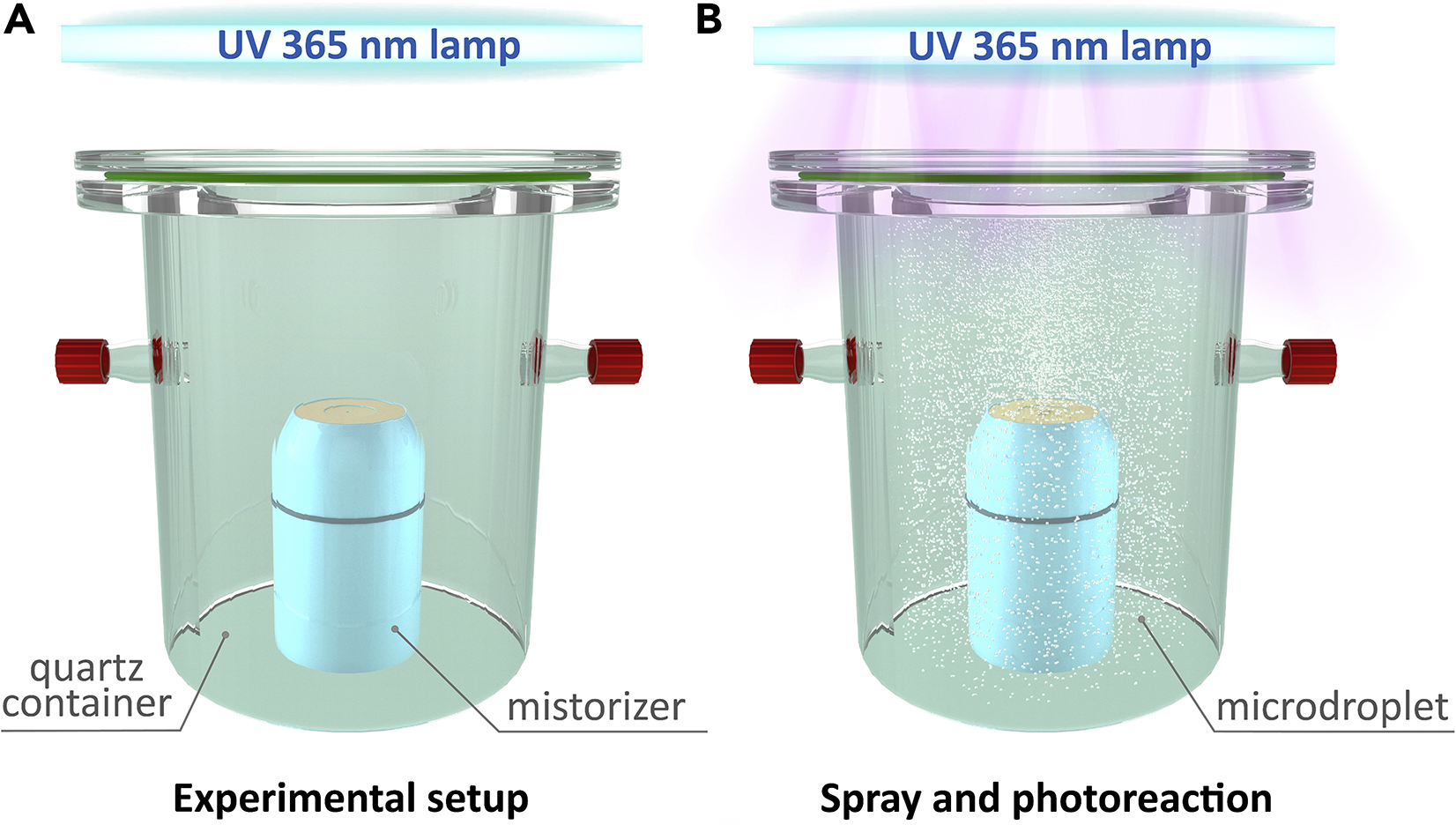Cell Press: STAR Protocols