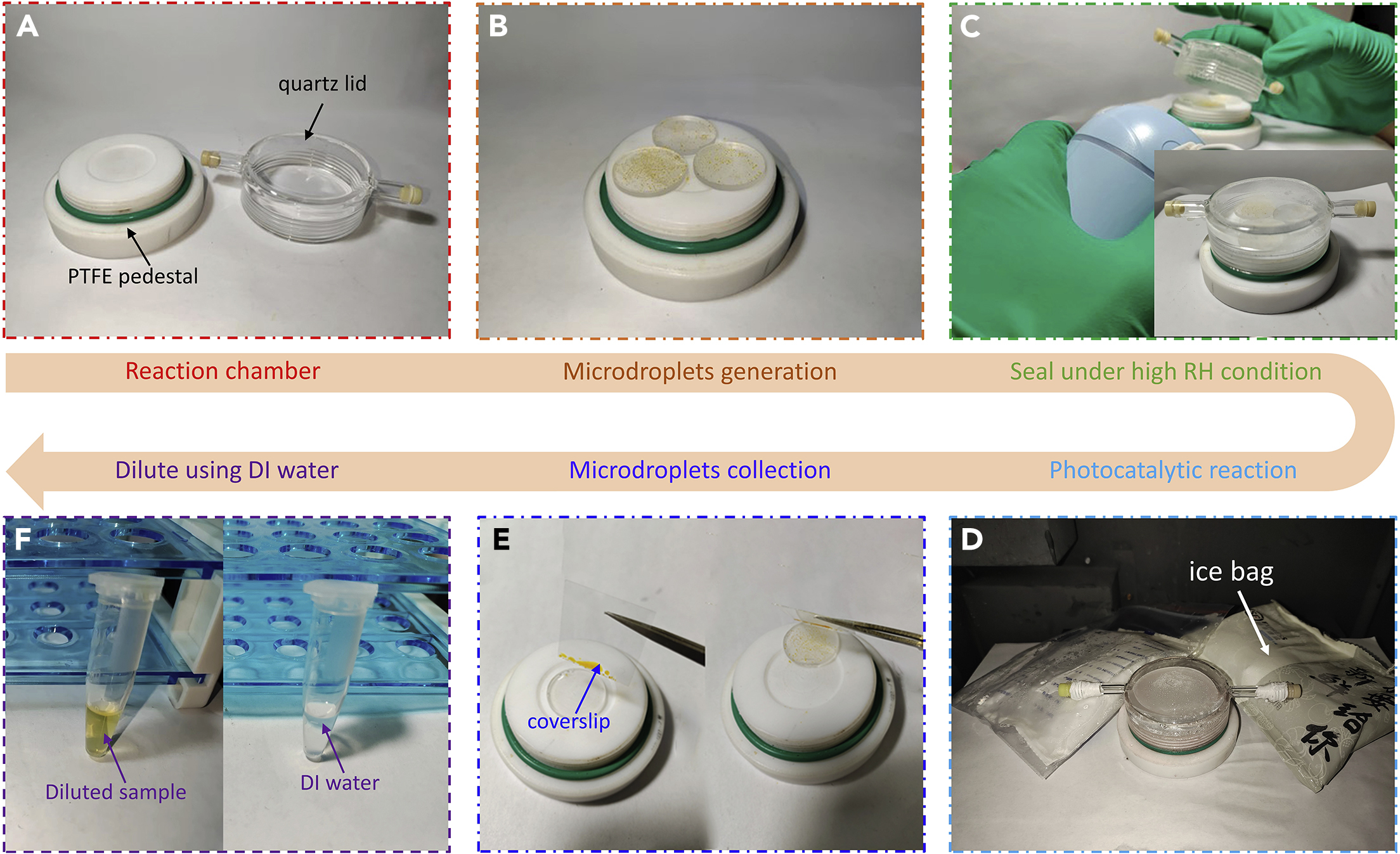 Cell Press: STAR Protocols