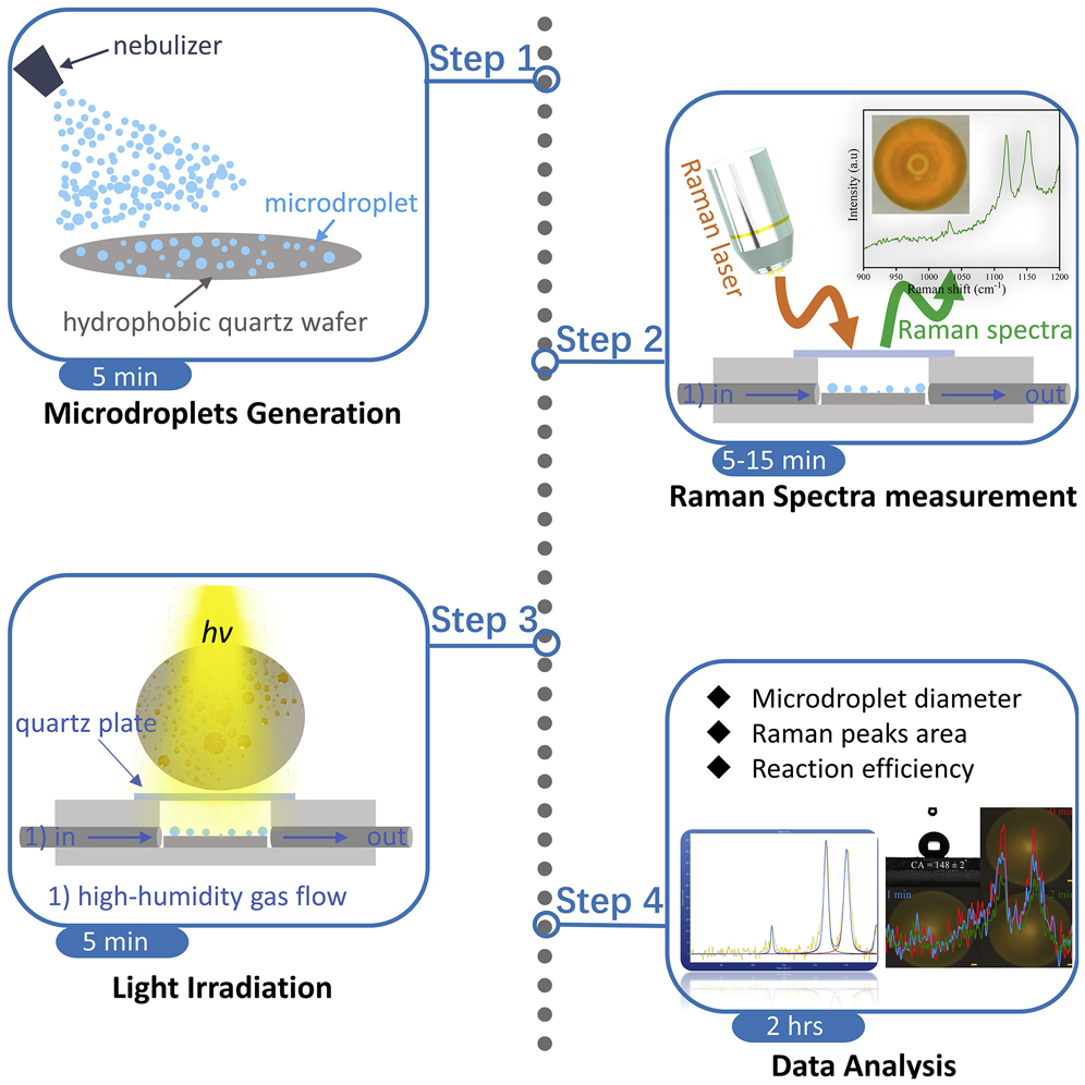 Cell Press: STAR Protocols