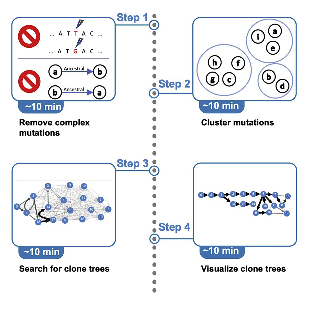 Cell Press: STAR Protocols