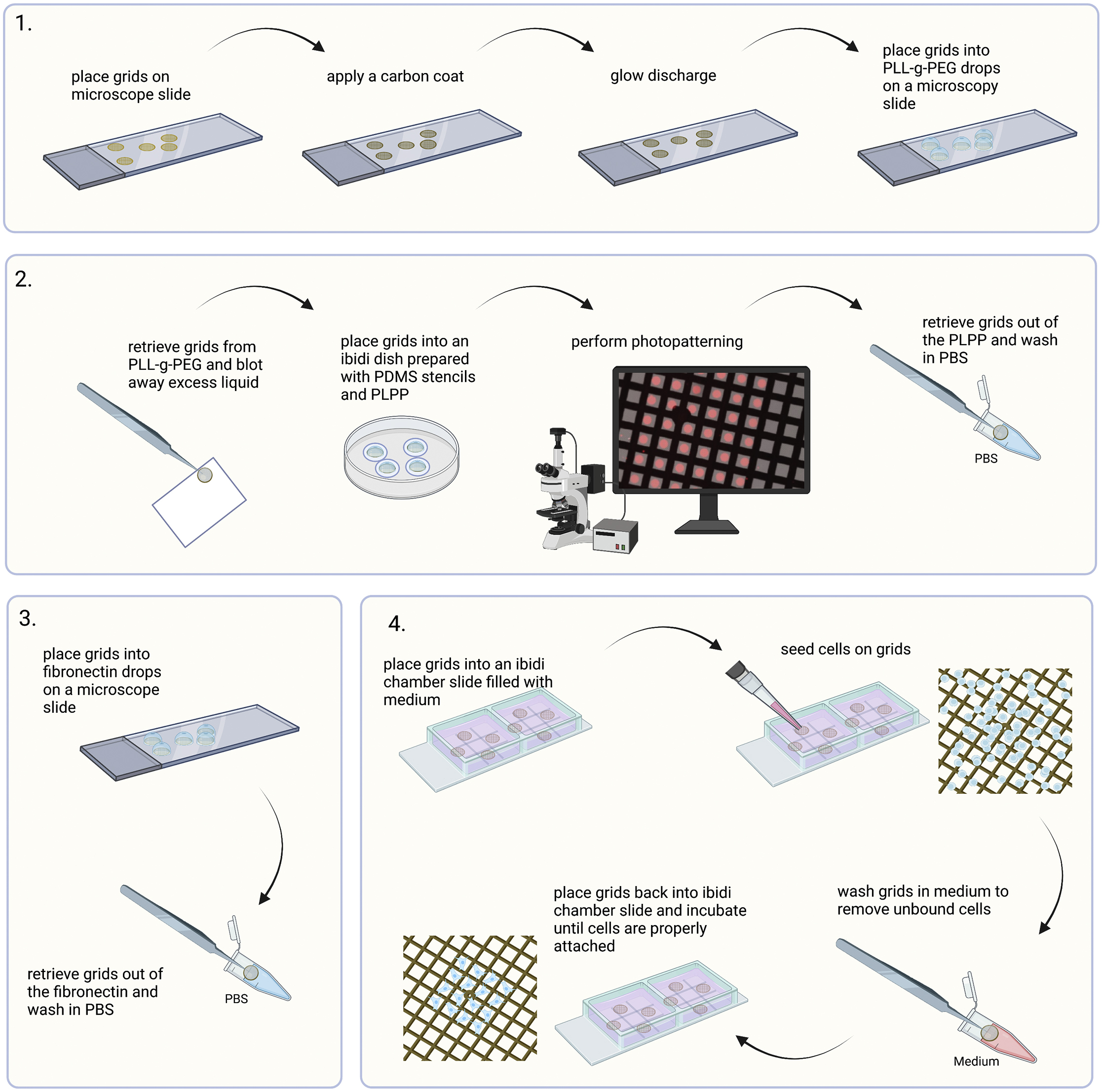 Cell Press: STAR Protocols
