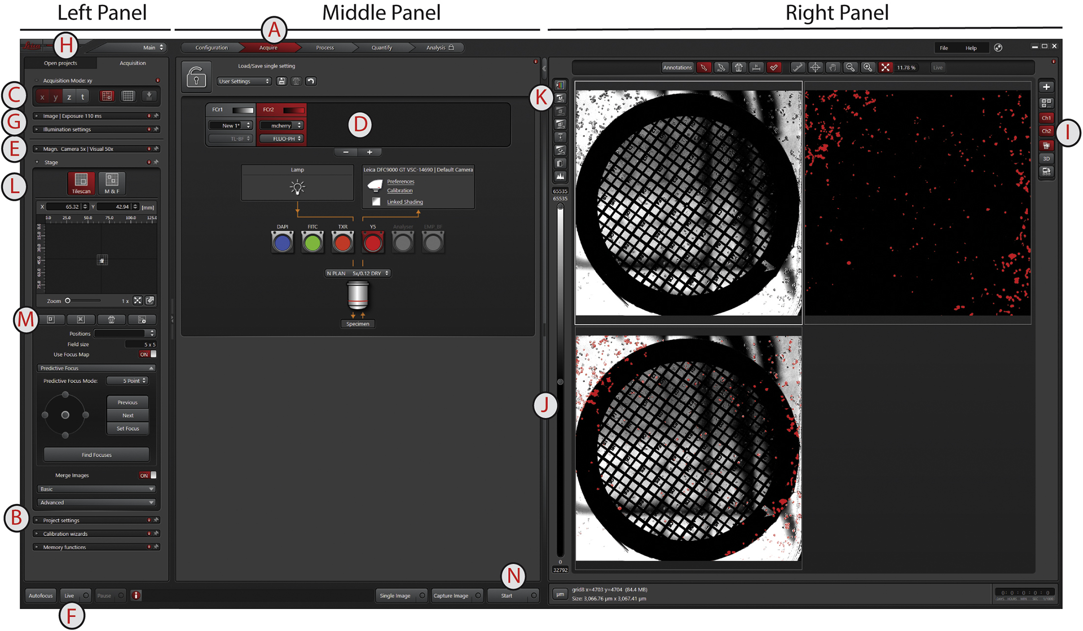 Cell Press: STAR Protocols