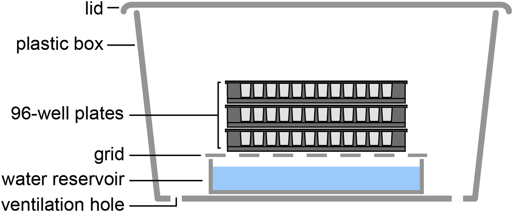 Cell Press: STAR Protocols