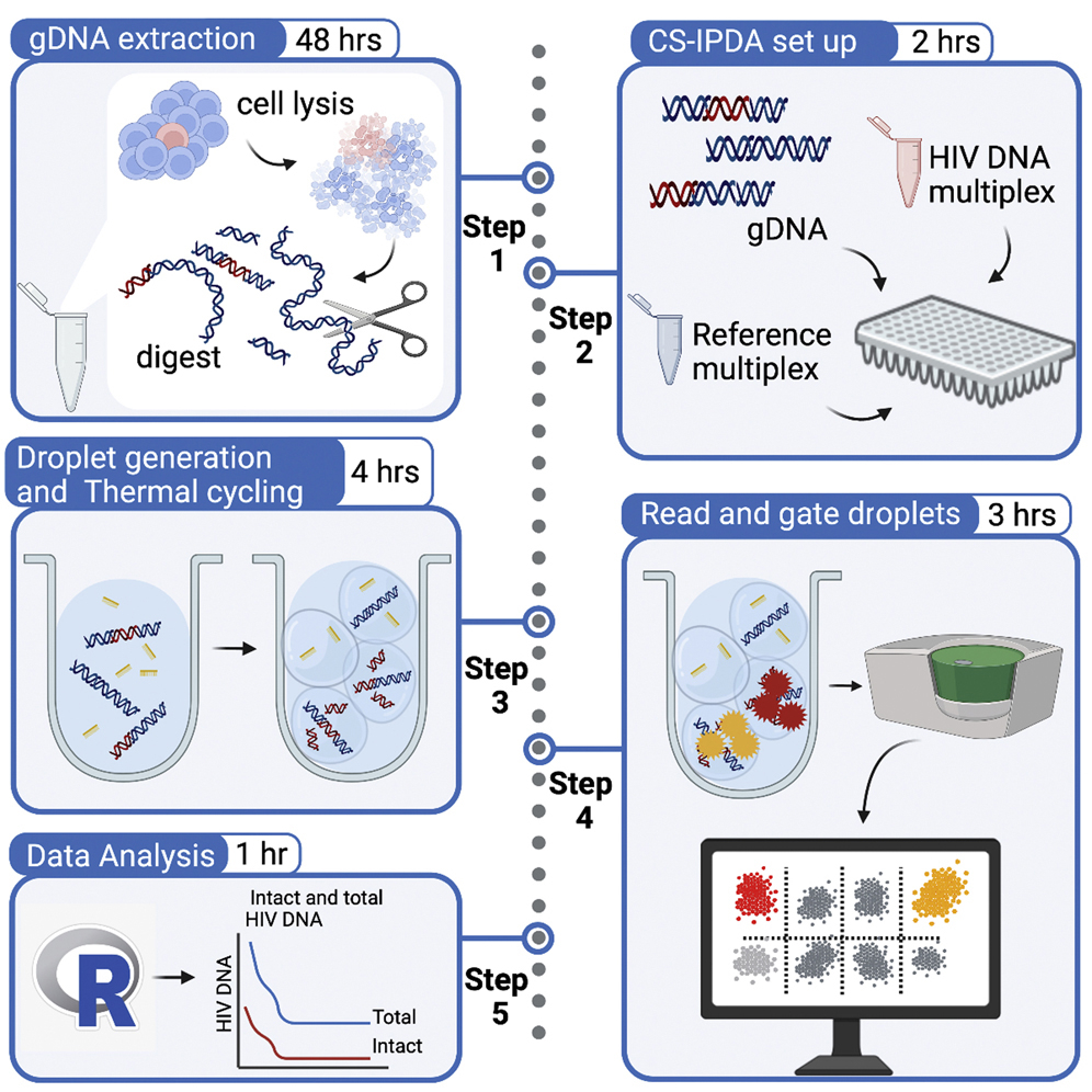 Cell Press: STAR Protocols