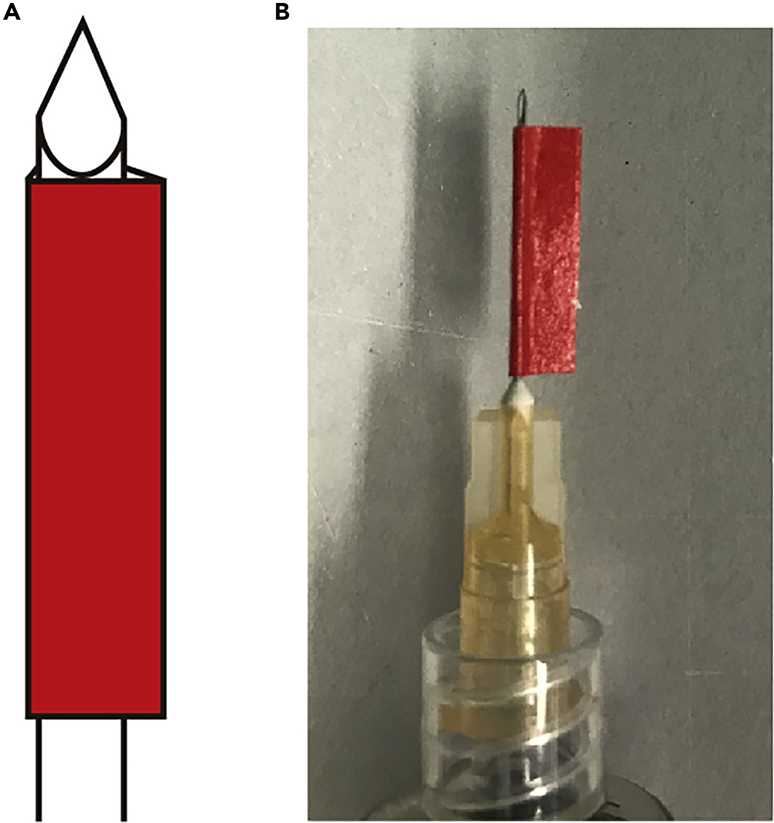 Cell Press: STAR Protocols