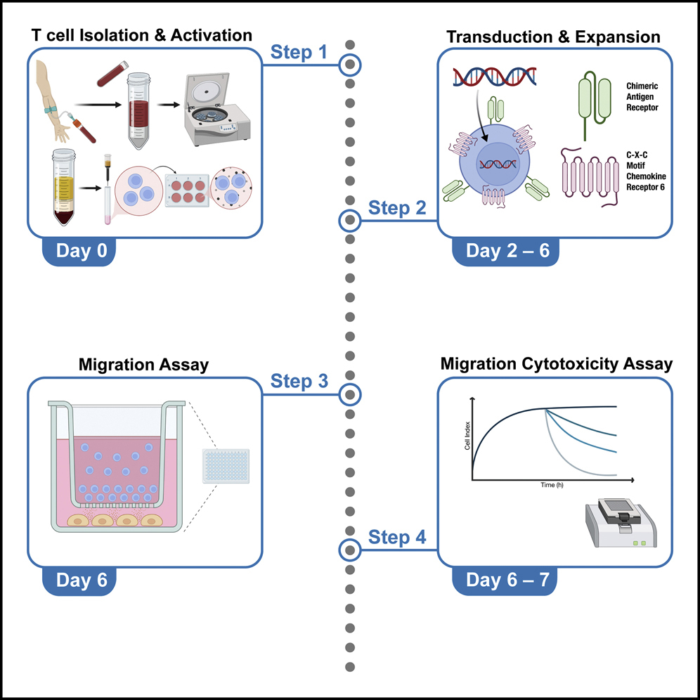 Cell Press: STAR Protocols
