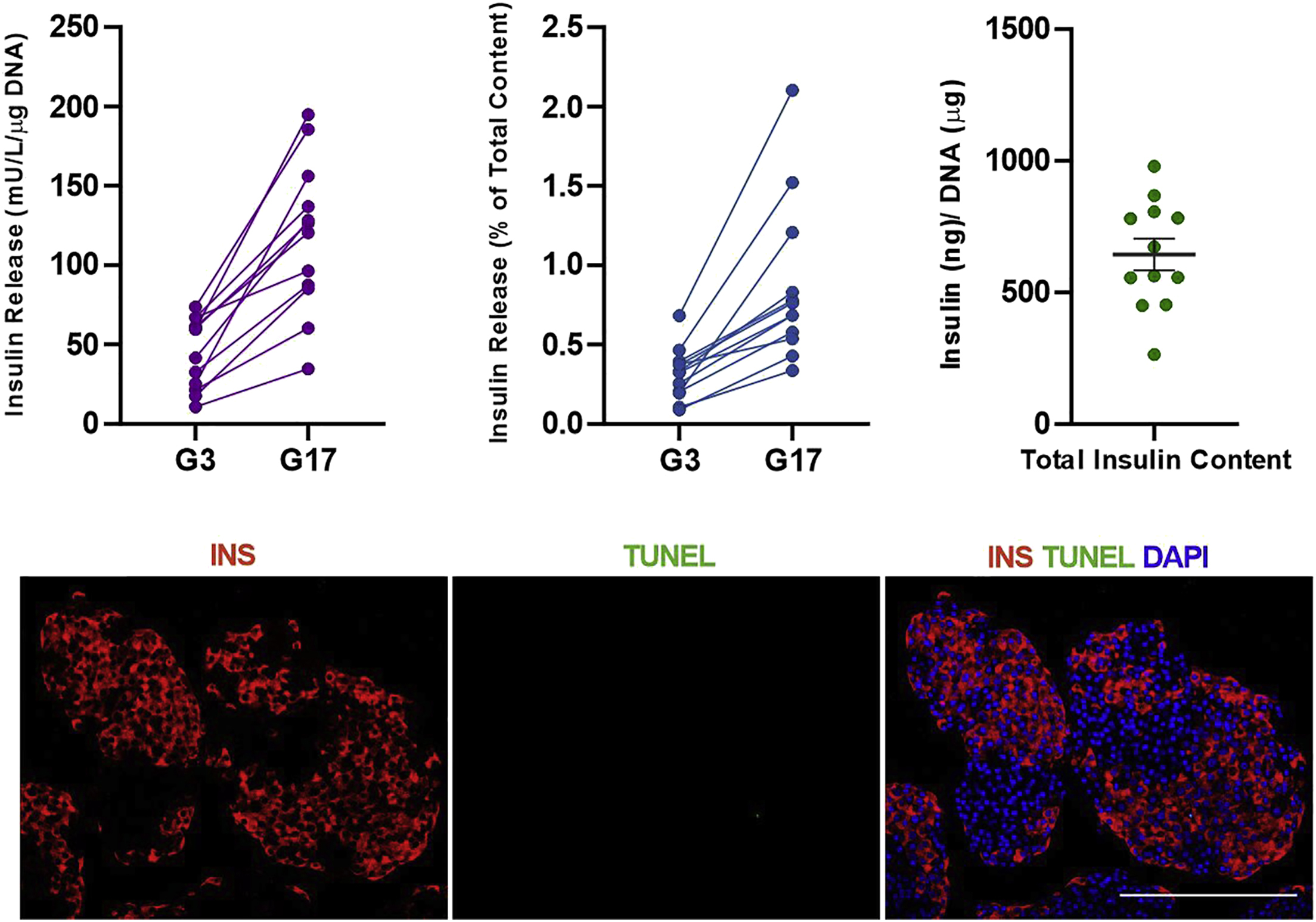 Cell Press Star Protocols