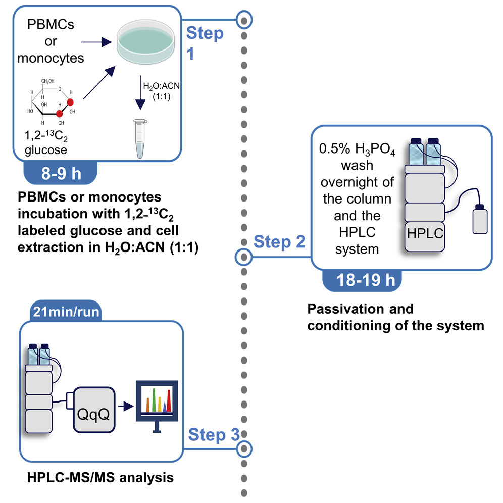 Cell Press: STAR Protocols