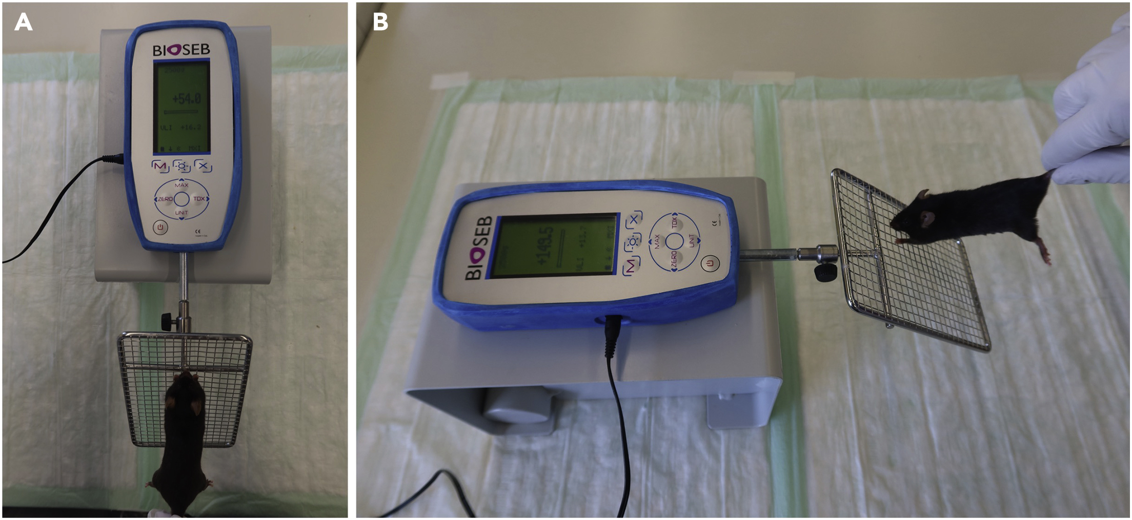Cell Press: STAR Protocols