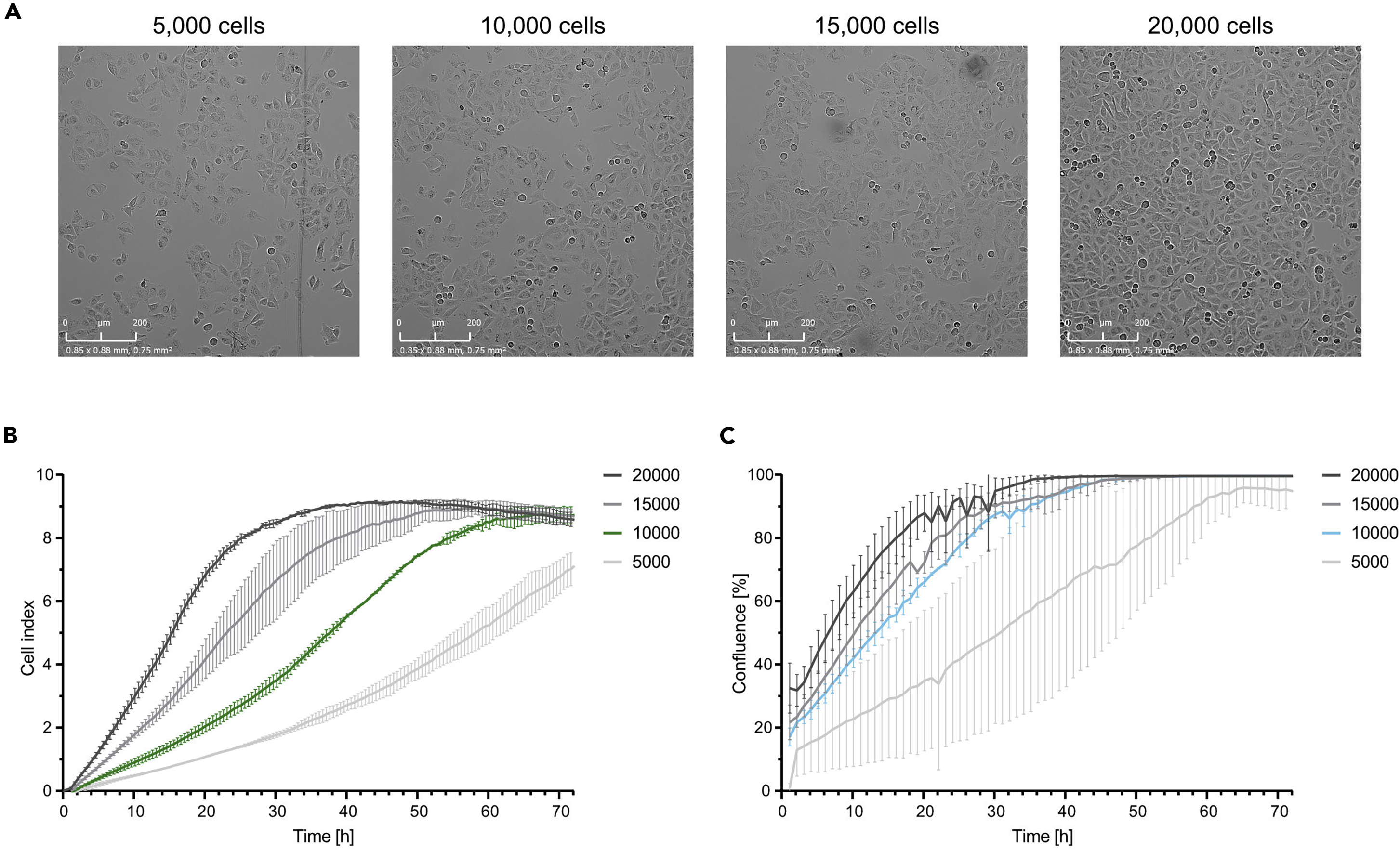 Cell Press: STAR Protocols