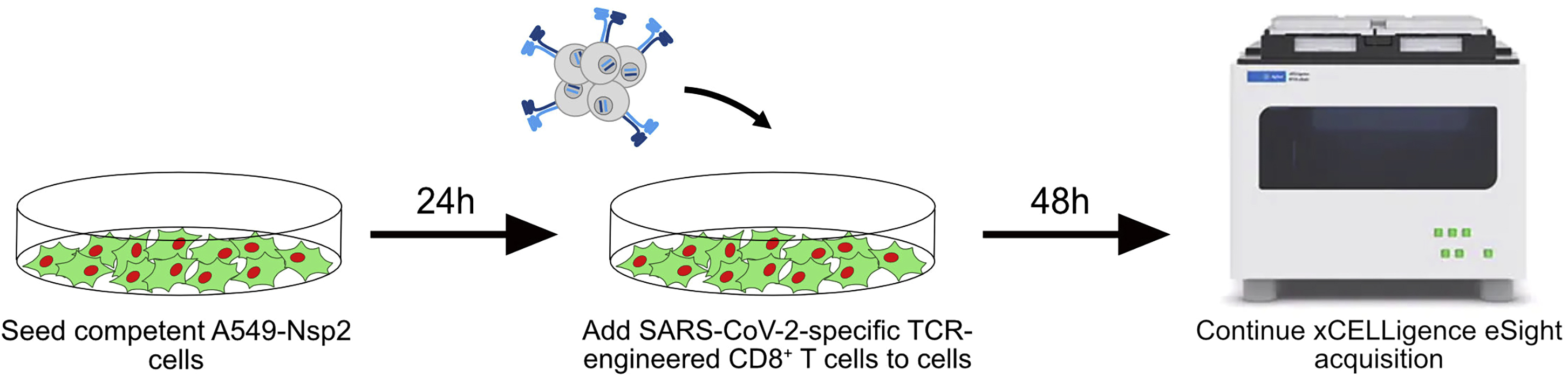 Cell Press: STAR Protocols