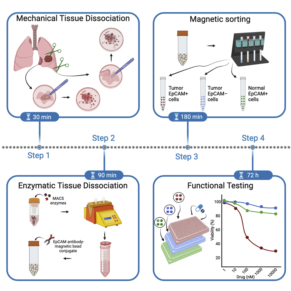 Cell Press: STAR Protocols