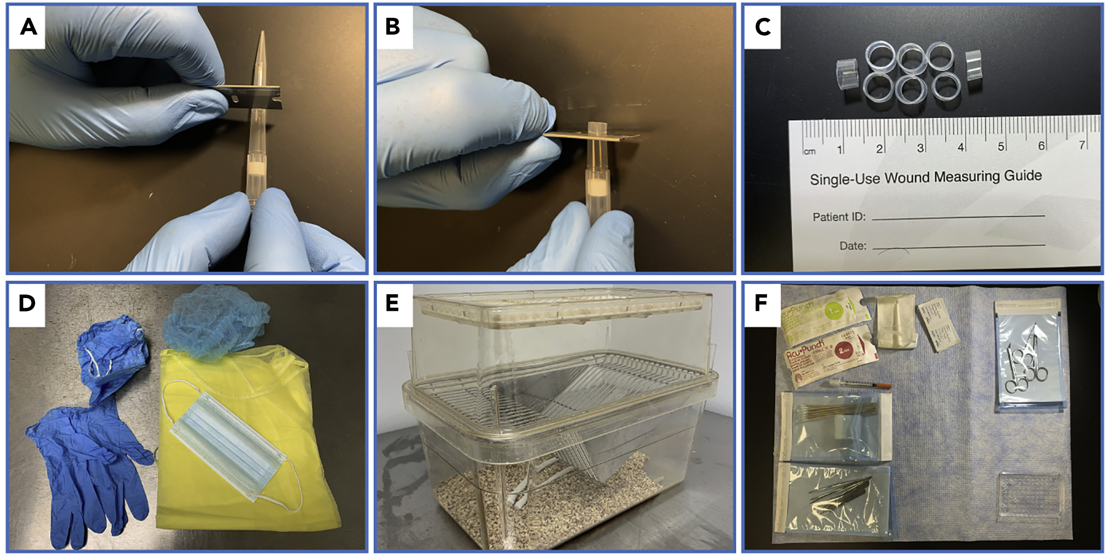 Cell Press: STAR Protocols