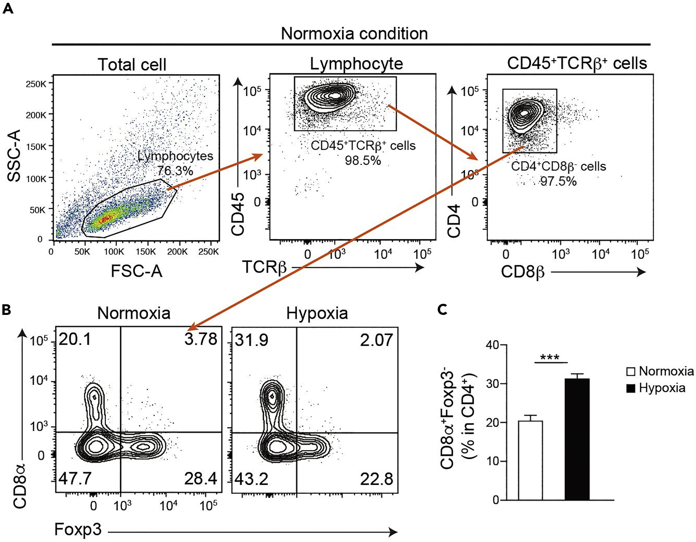 Cell Press: STAR Protocols