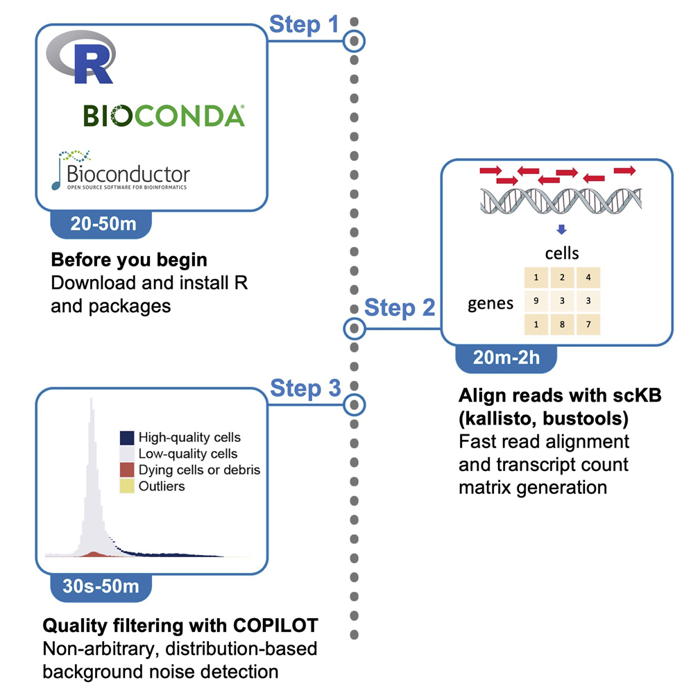 Cell Press Star Protocols