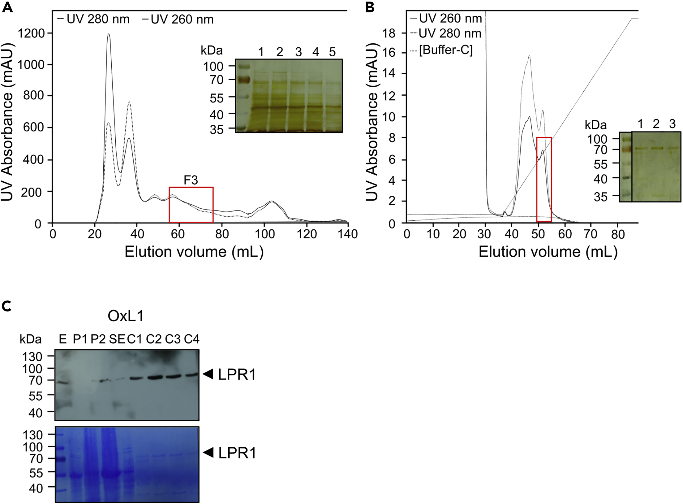 Cell Press: STAR Protocols