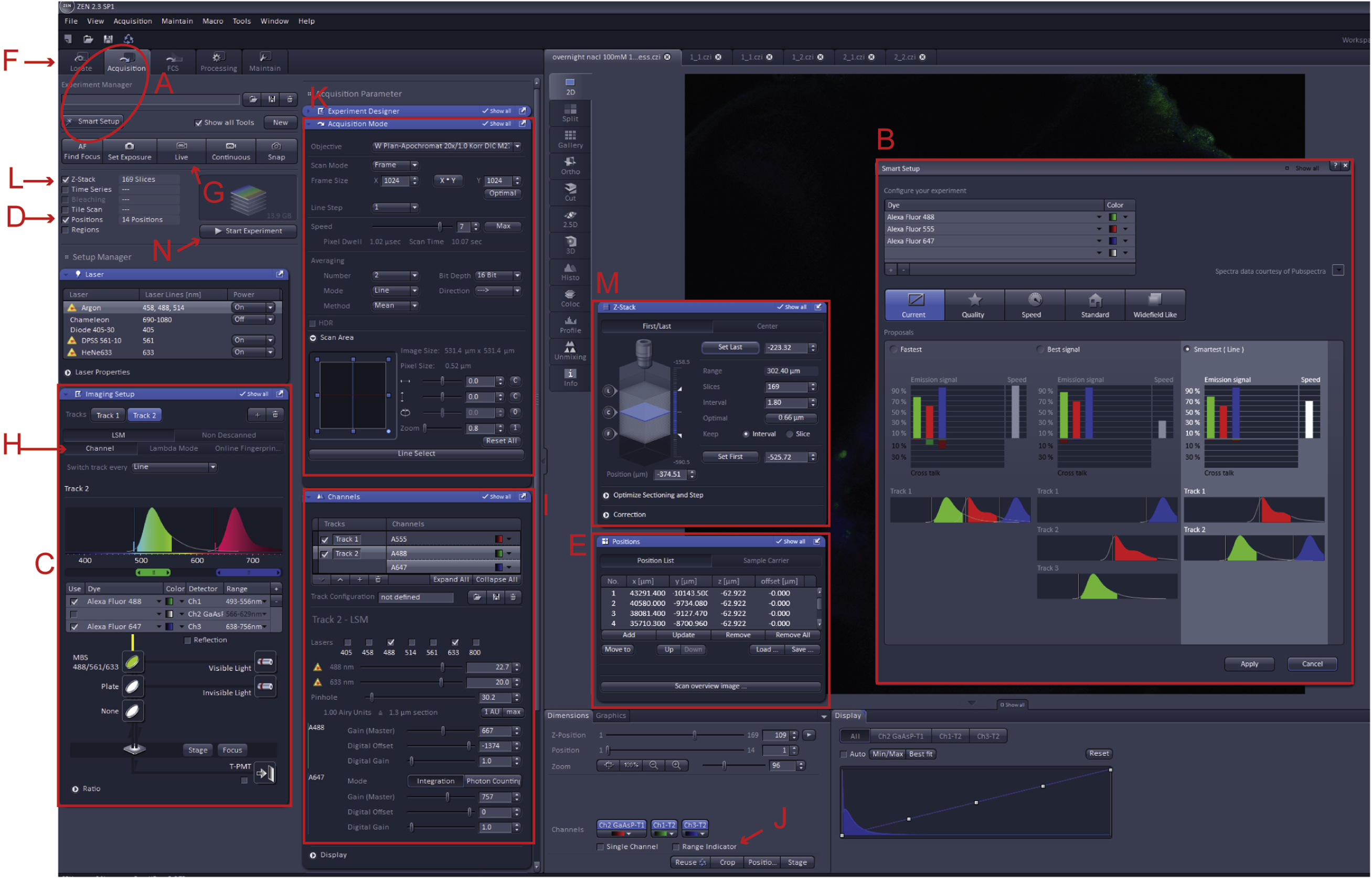 Cell Press: STAR Protocols