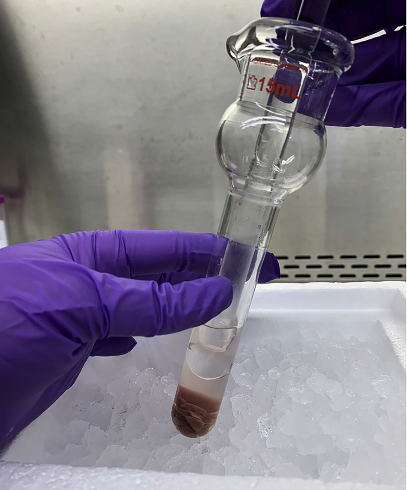 Cell Press: STAR Protocols