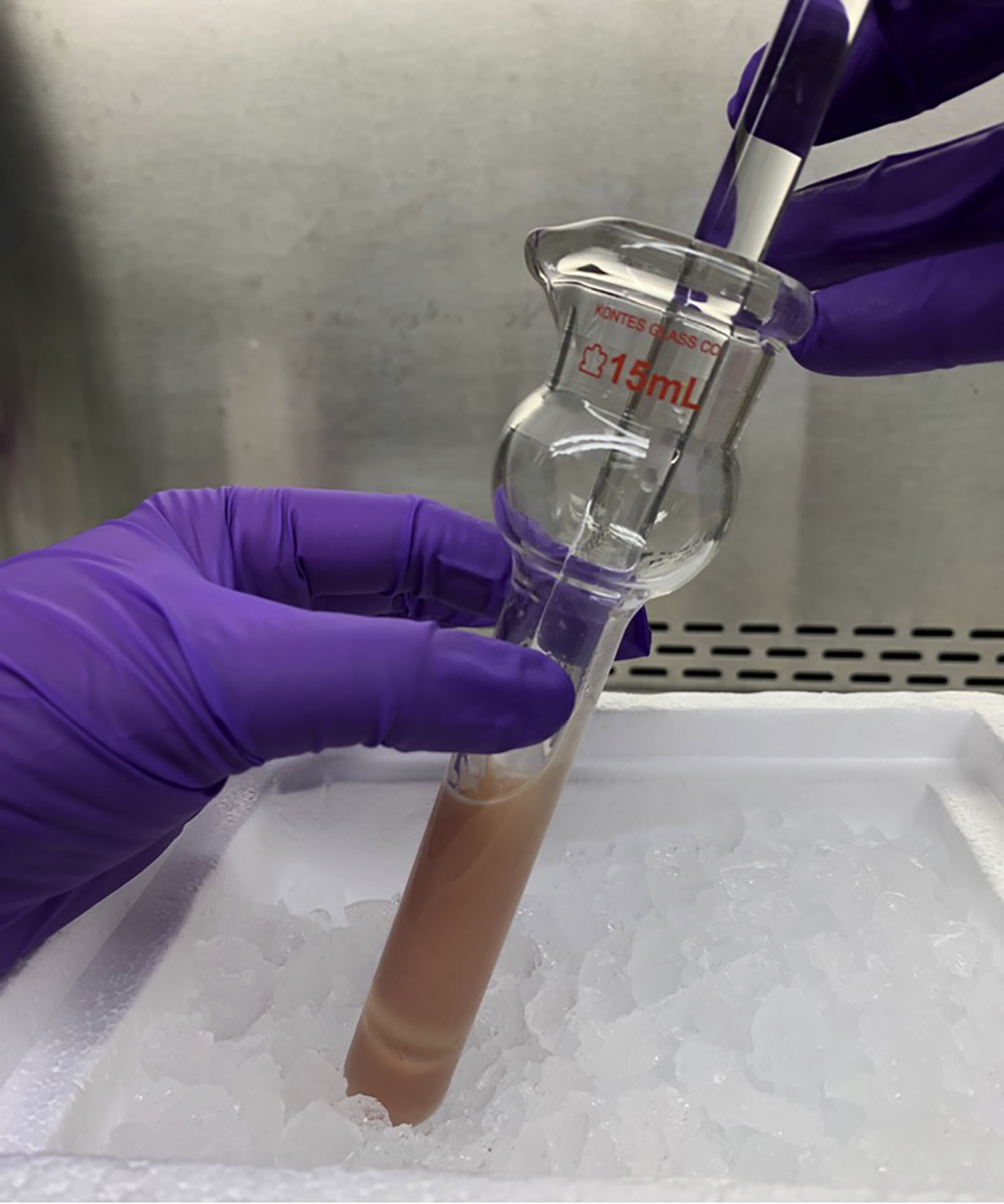 Cell Press: STAR Protocols