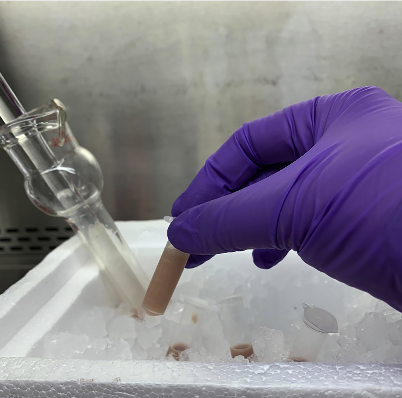 Cell Press: STAR Protocols