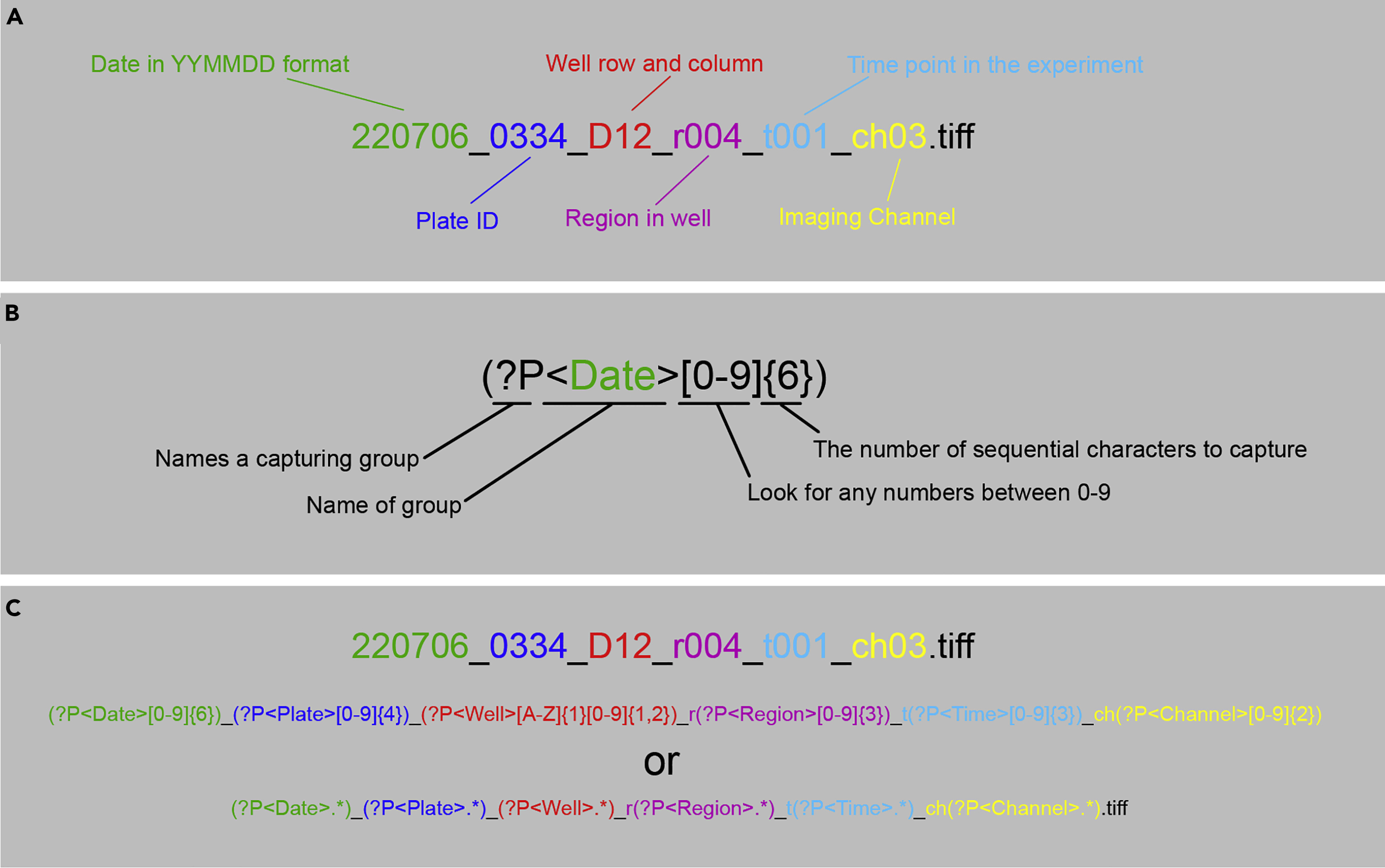 Cell Press: STAR Protocols