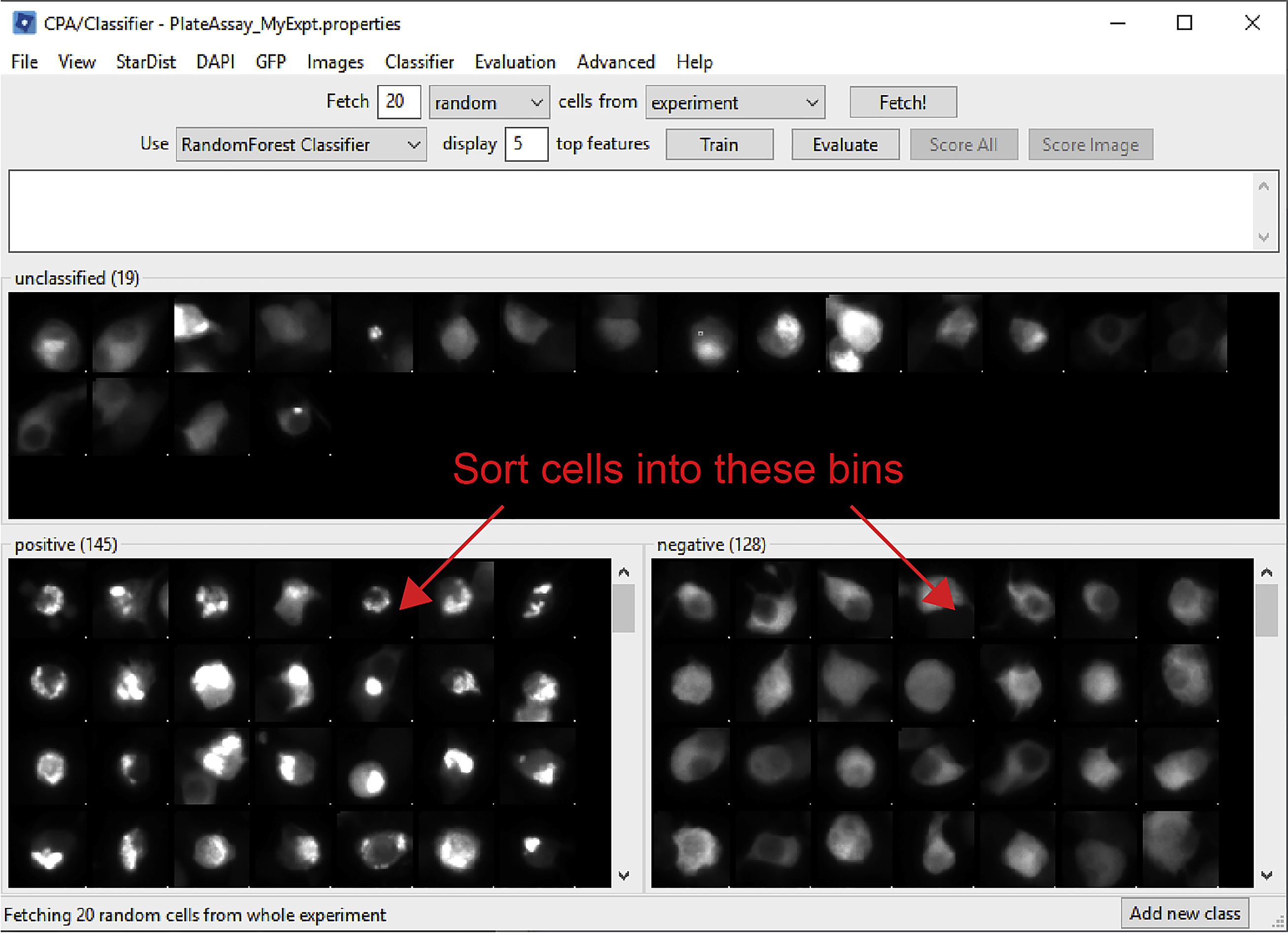 Cell Press: STAR Protocols