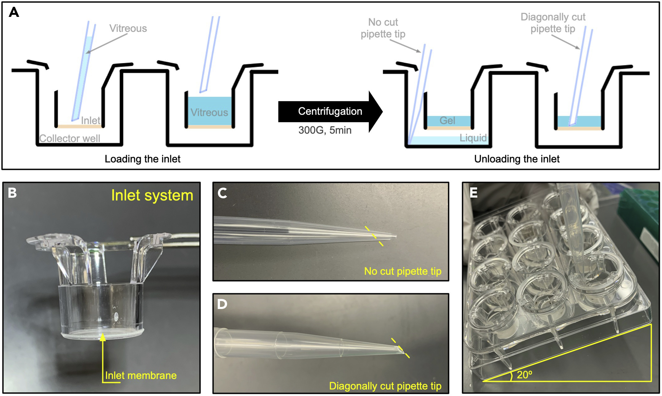 Cell Press: STAR Protocols