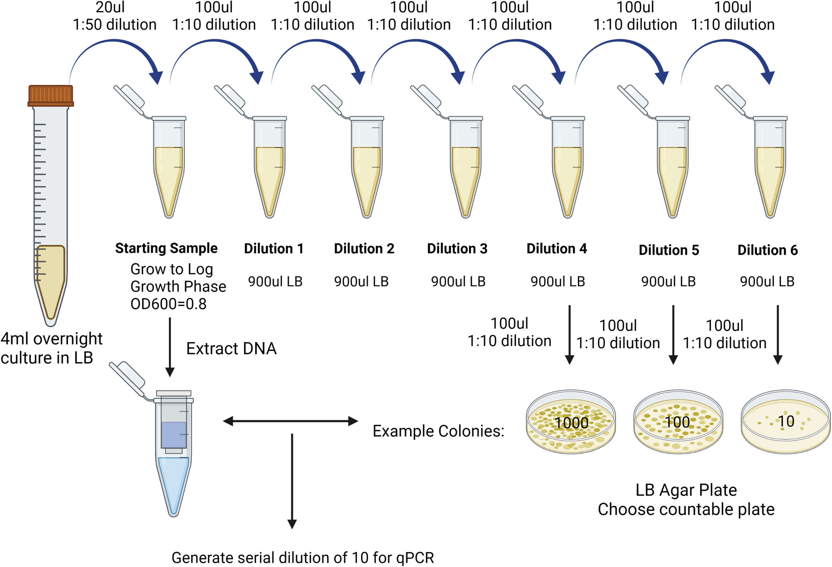 Cell Press: STAR Protocols