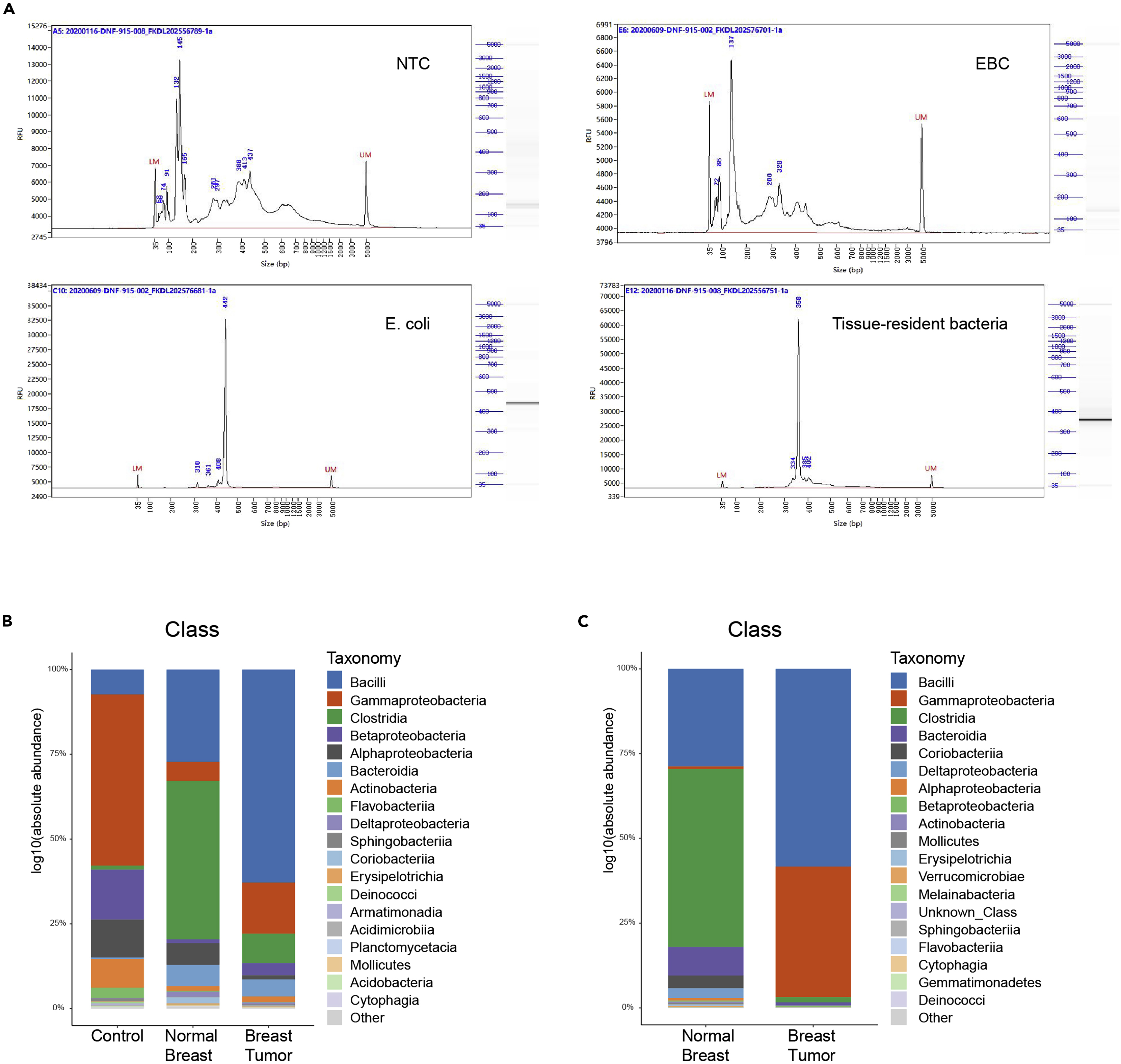 Cell Press: STAR Protocols