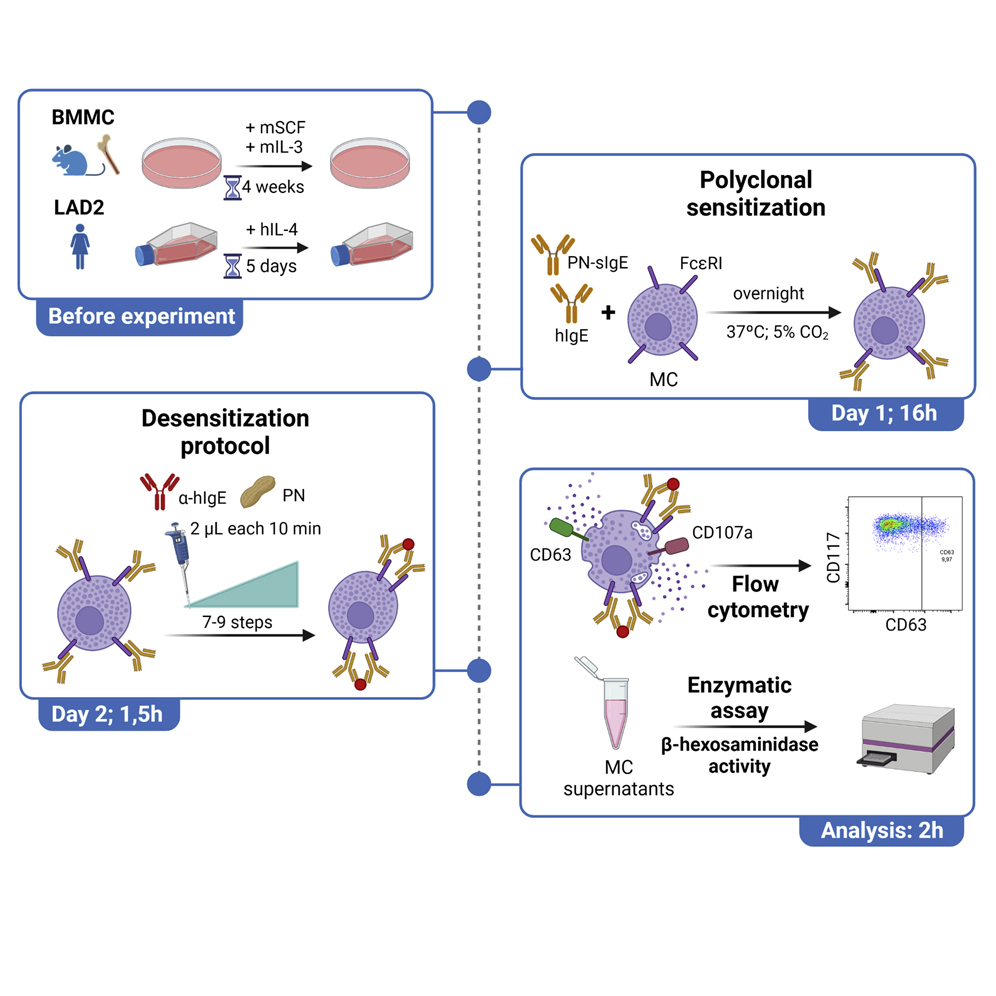 Cell Press: STAR Protocols