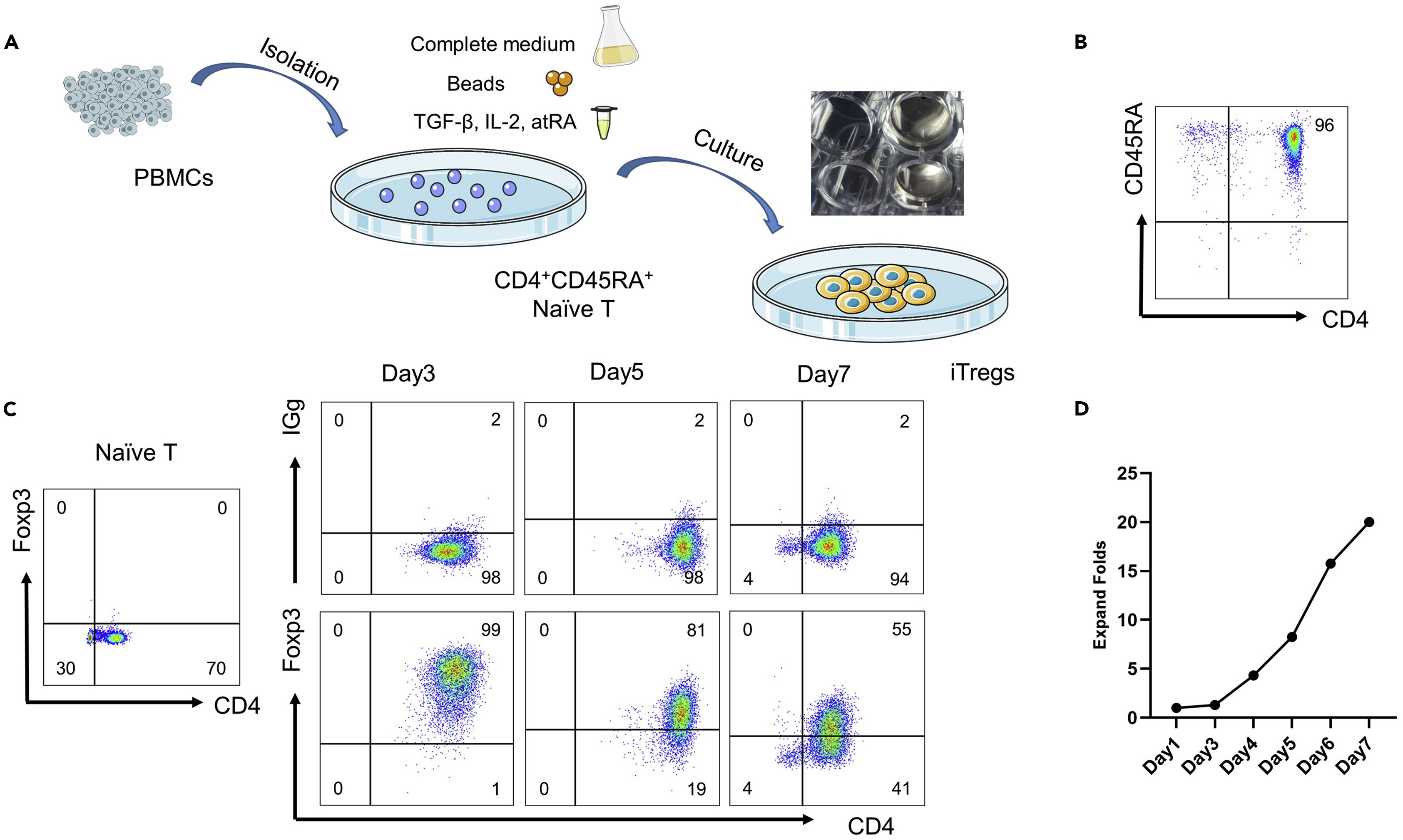 Cell Press: STAR Protocols