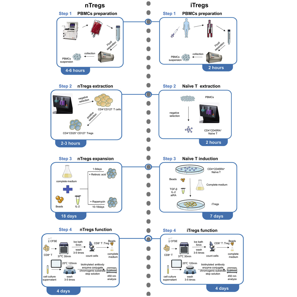 Cell Press: STAR Protocols