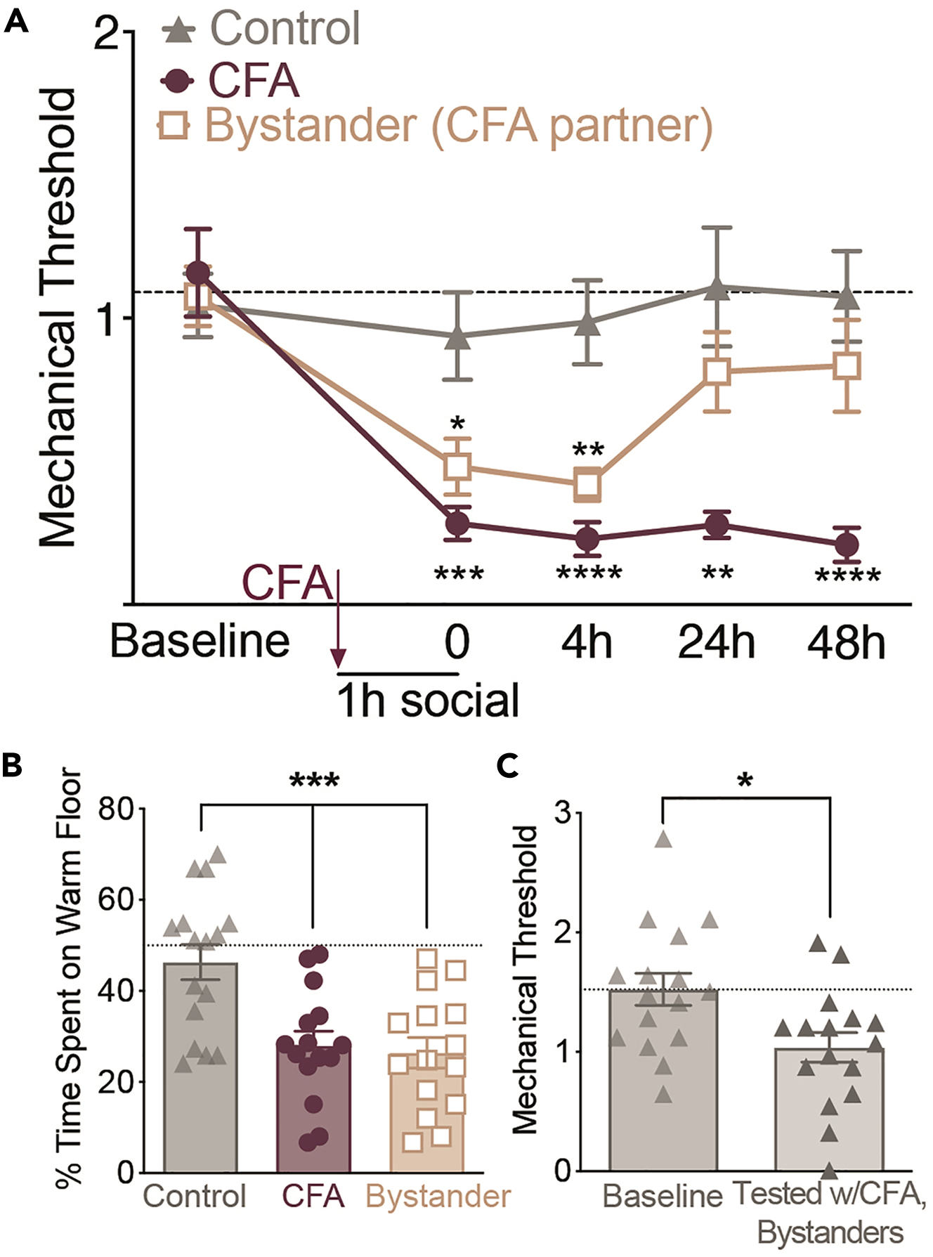 Cell Press: STAR Protocols