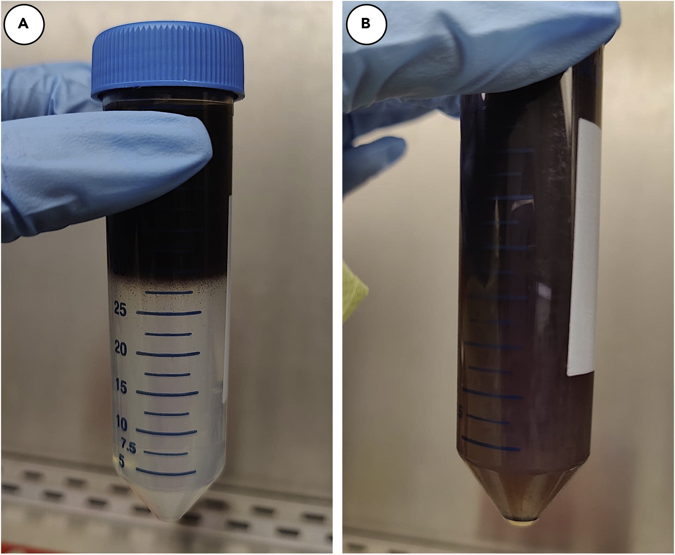 Cell Press: STAR Protocols