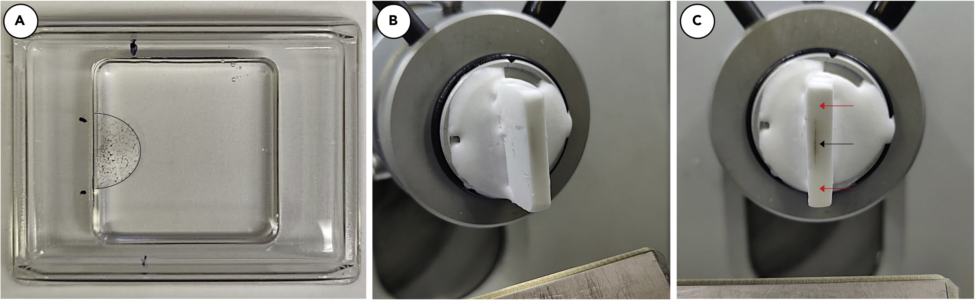 Cell Press: STAR Protocols