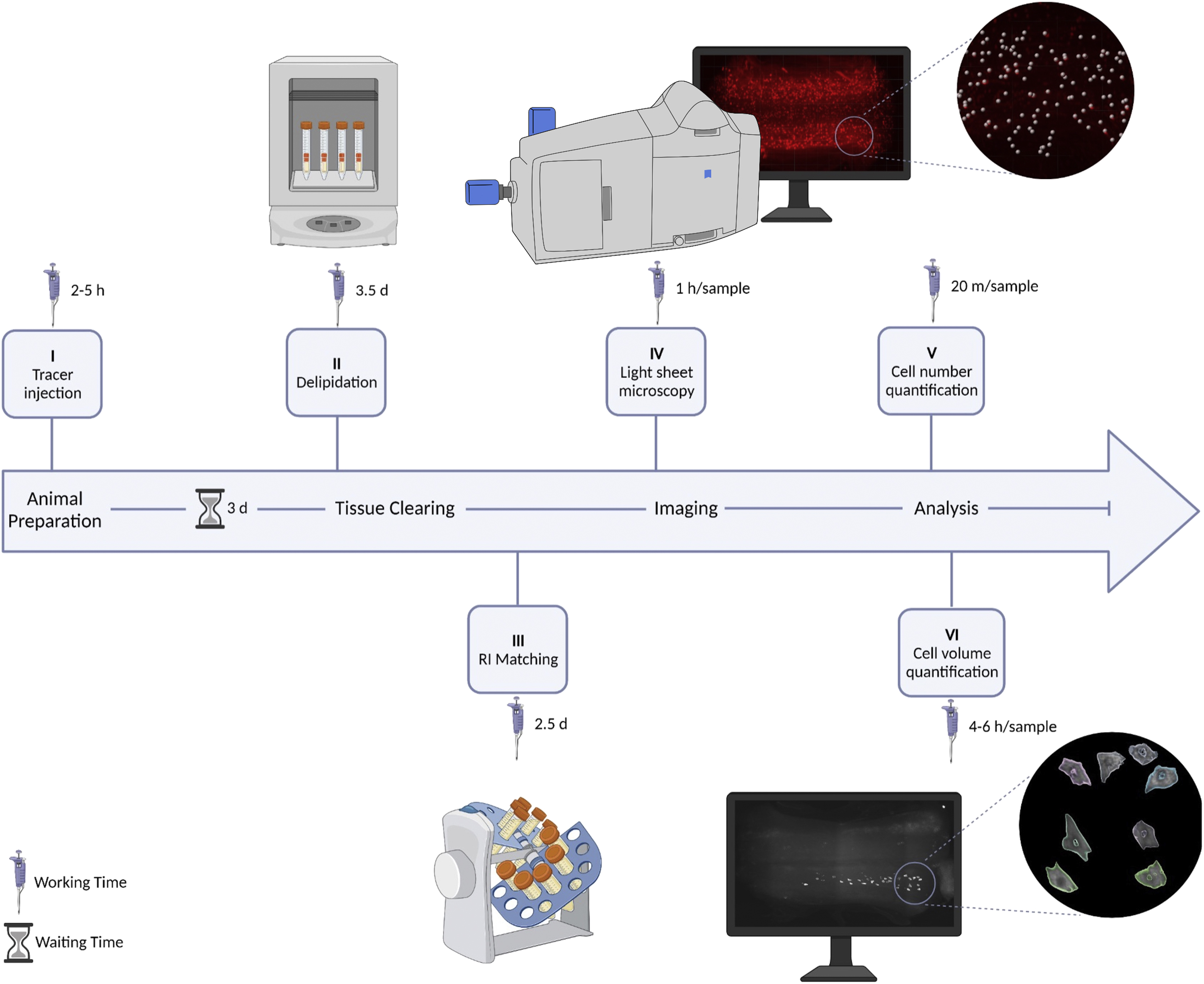 Cell Press: STAR Protocols