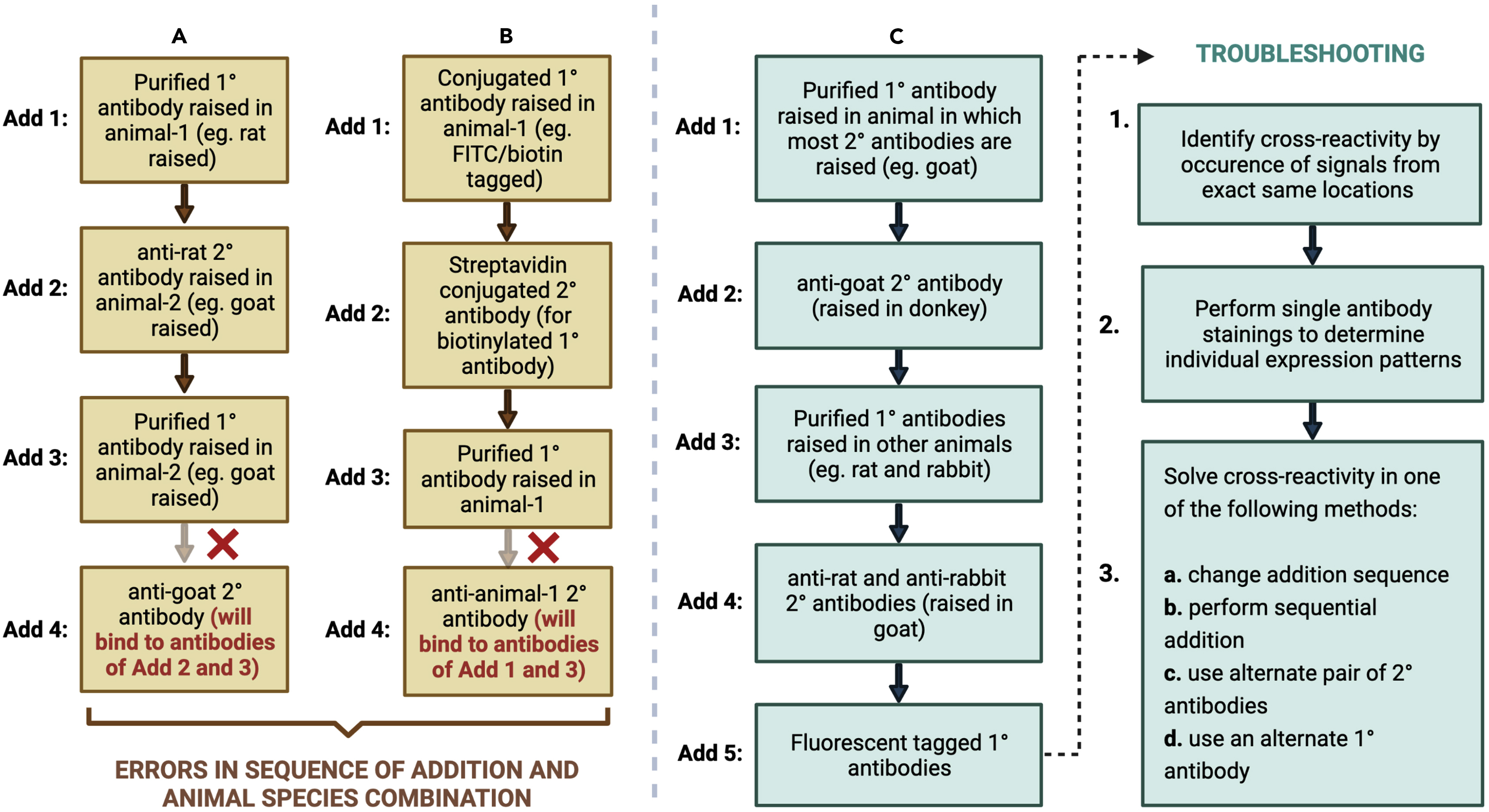 Cell Press: STAR Protocols