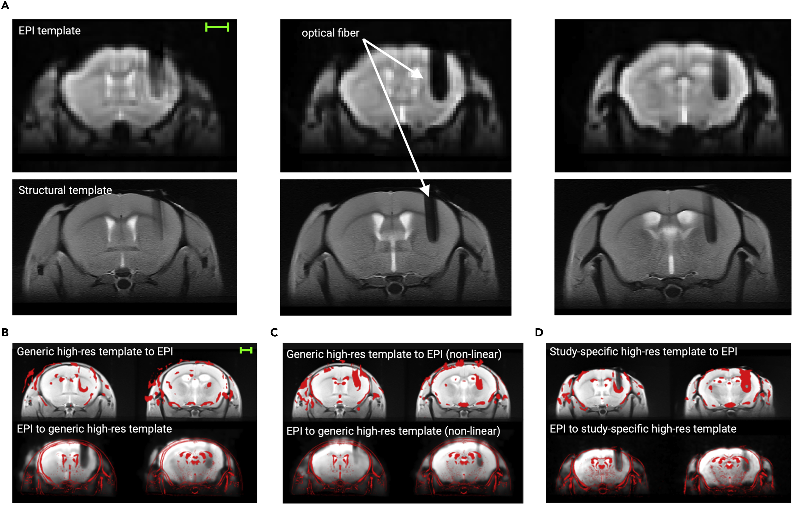 Cell Press: STAR Protocols