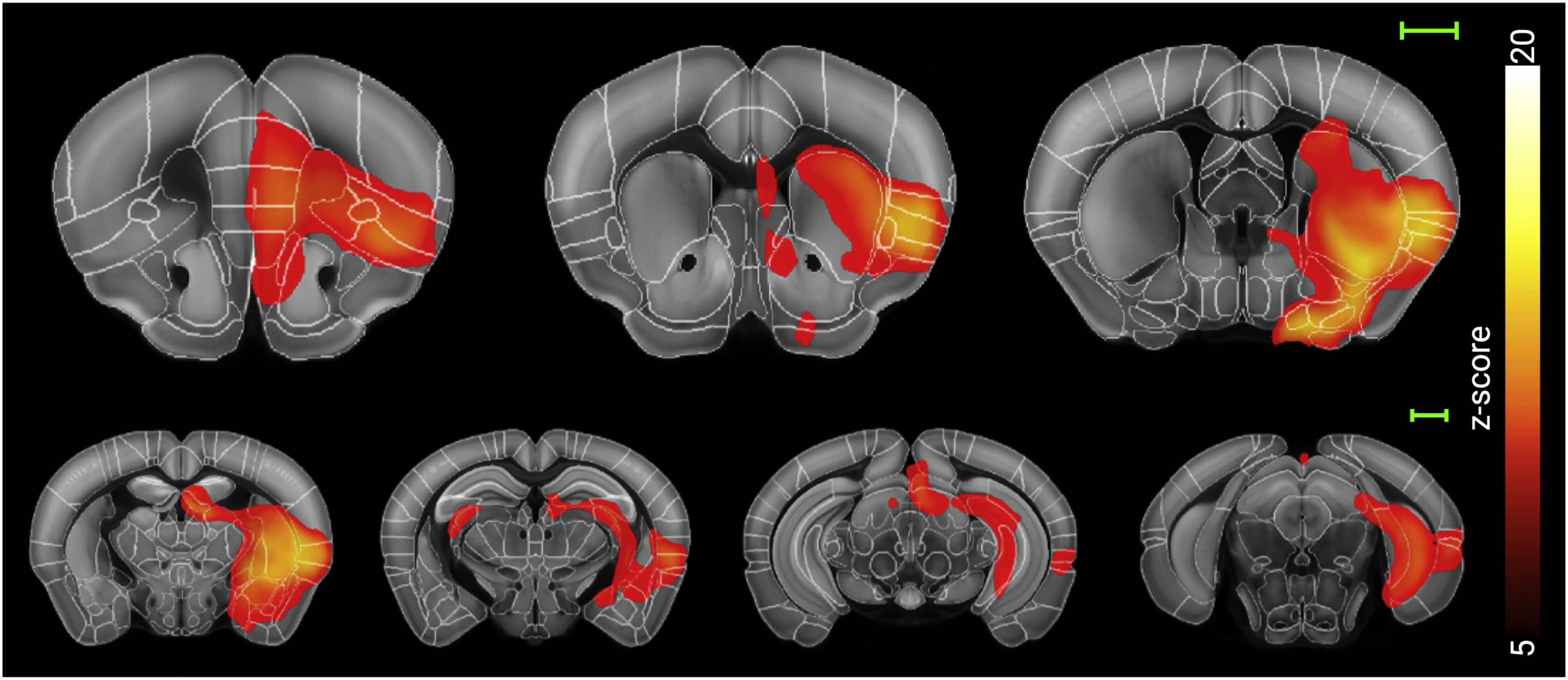 Cell Press: STAR Protocols
