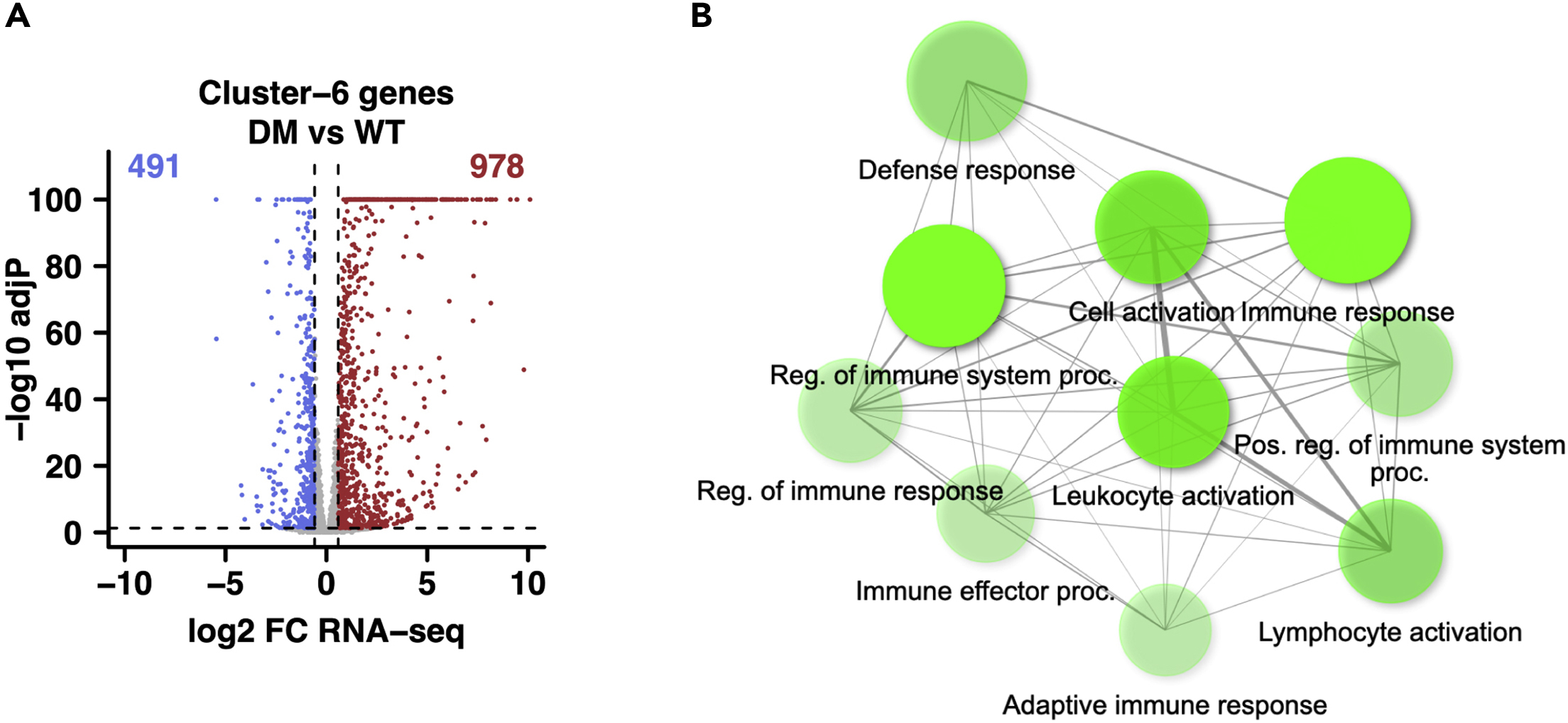 Cell Press: STAR Protocols