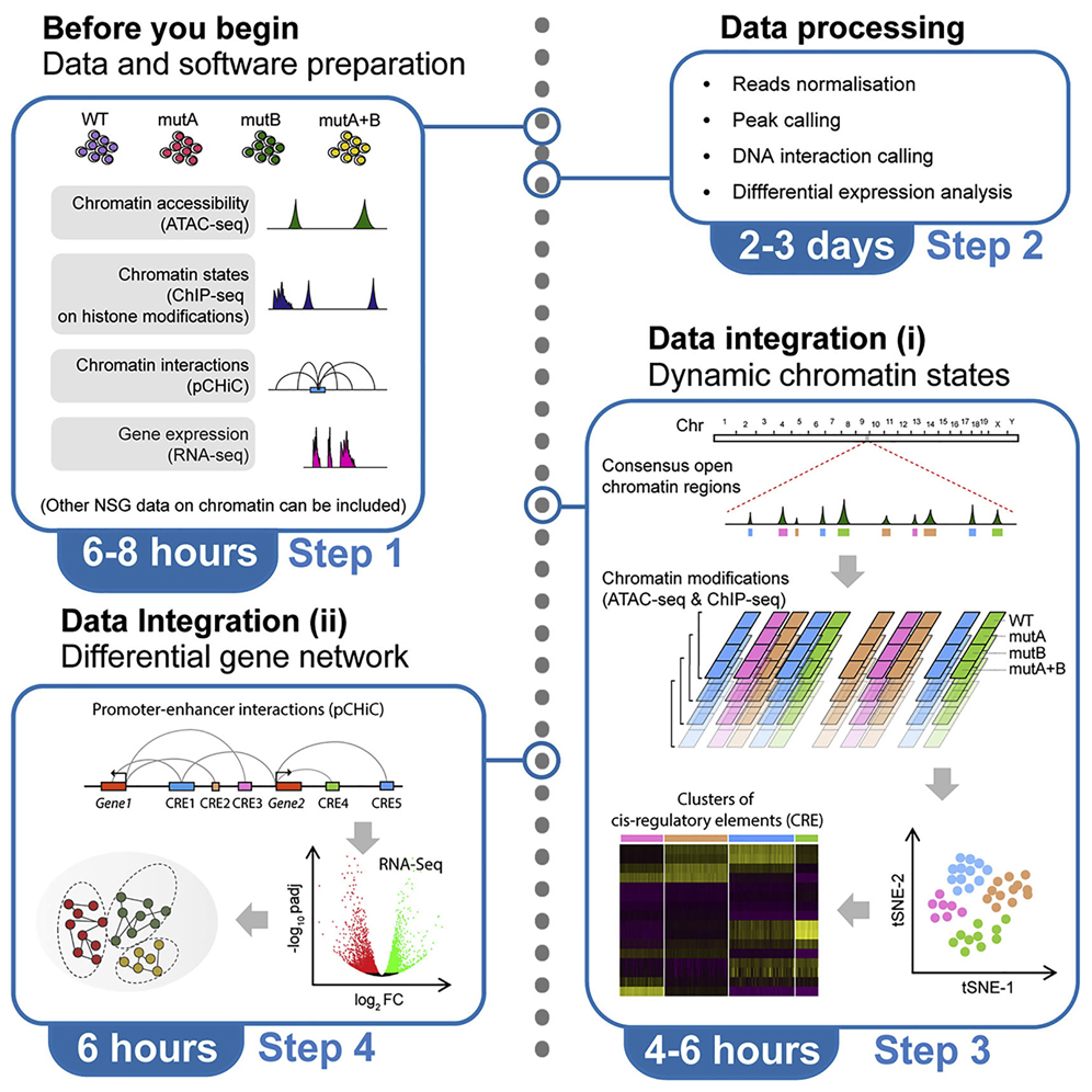 Cell Press: STAR Protocols