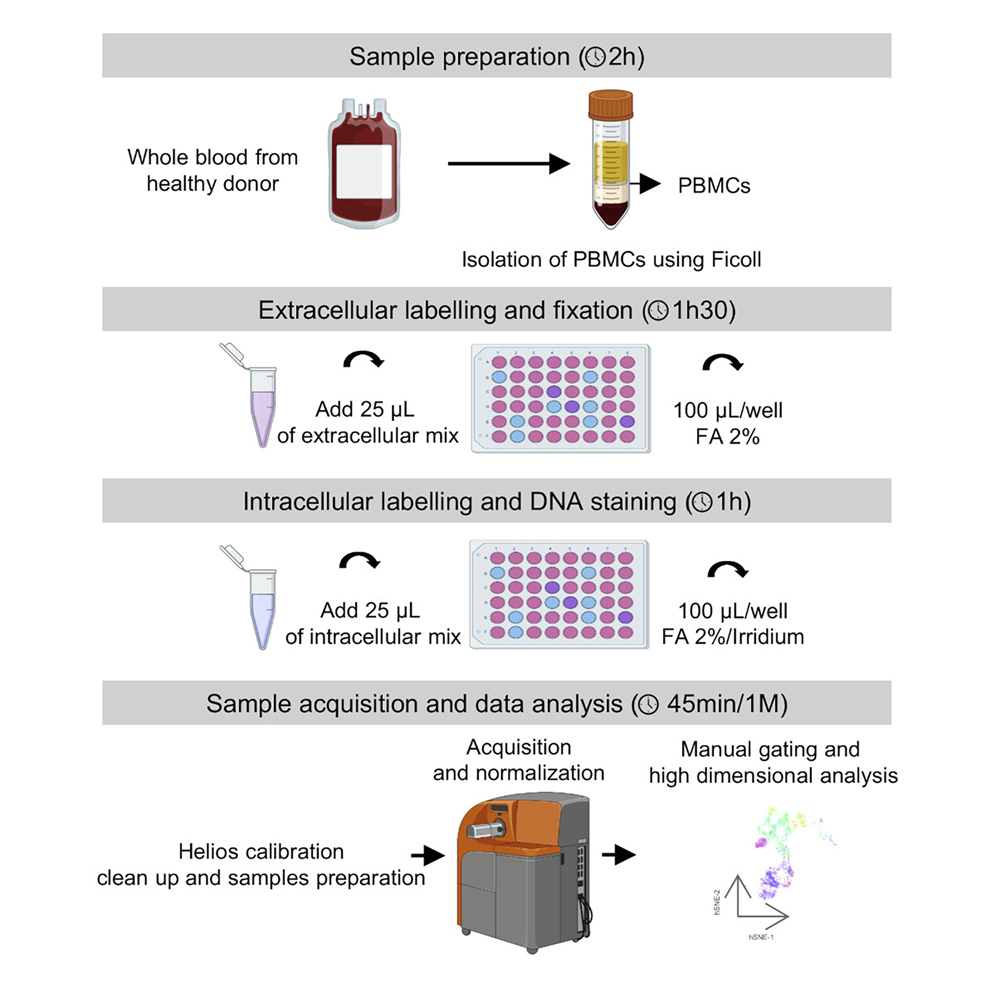 Cell Press: STAR Protocols