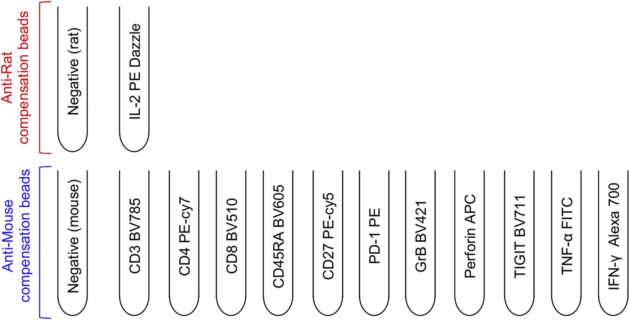 Cell Press: STAR Protocols
