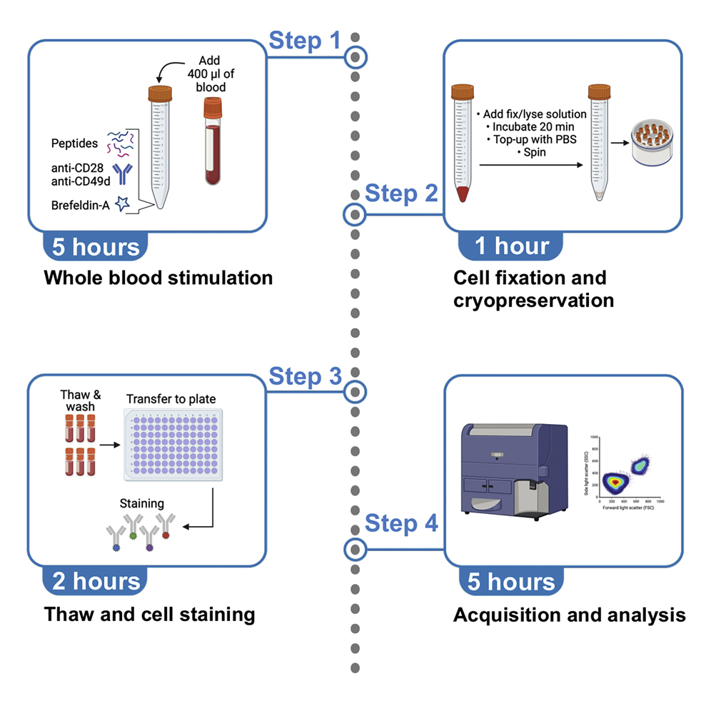 Cell Press: STAR Protocols