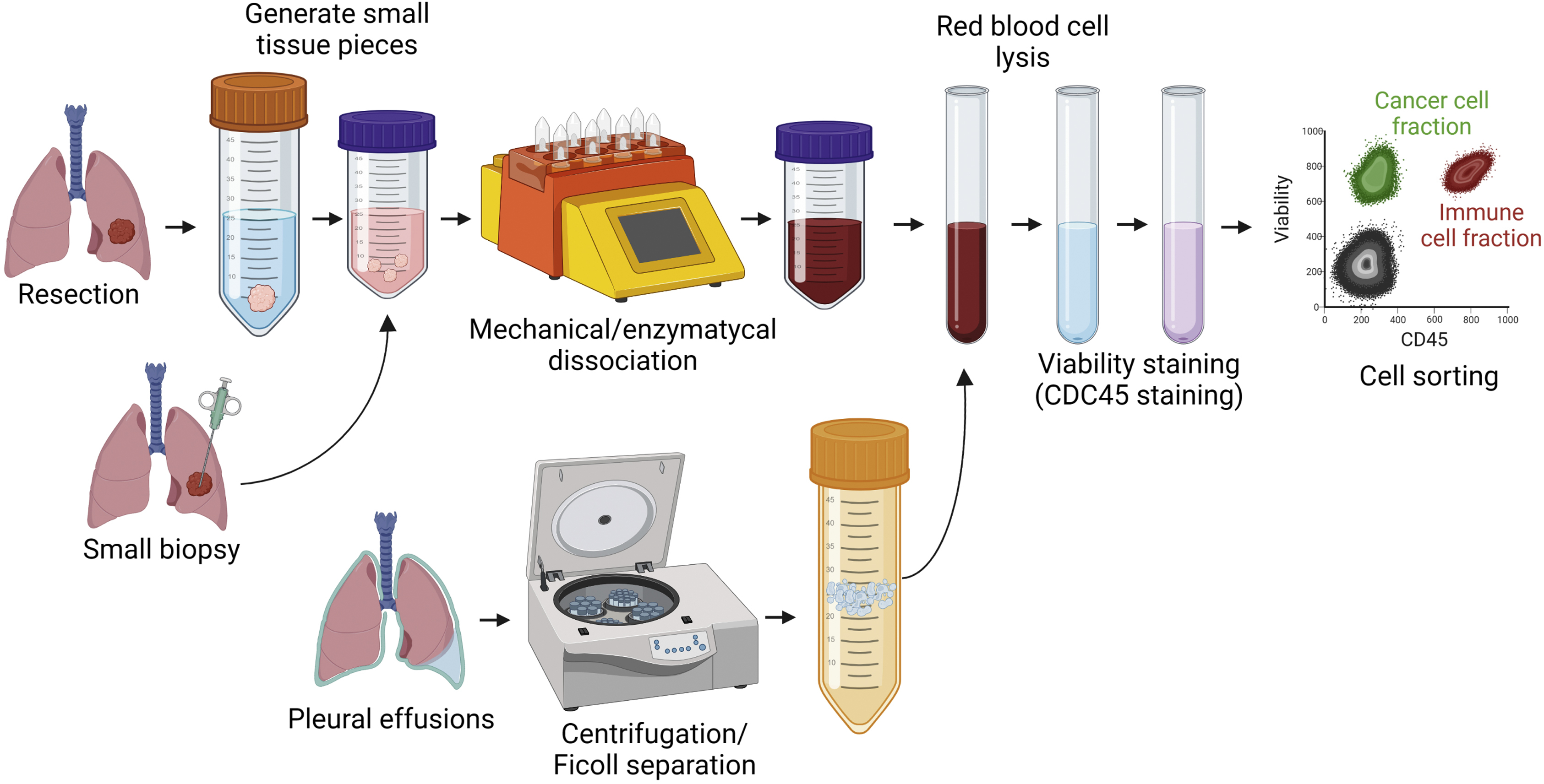 Cell Press: STAR Protocols