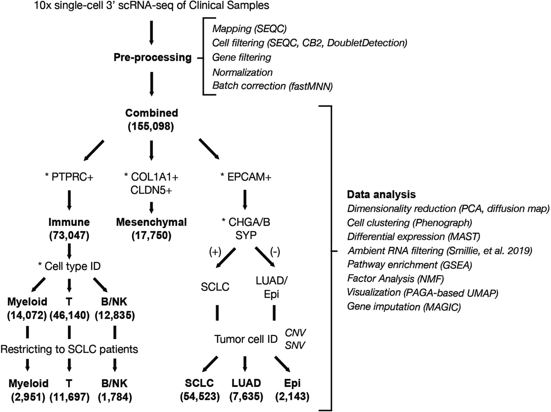 Cell Press: STAR Protocols