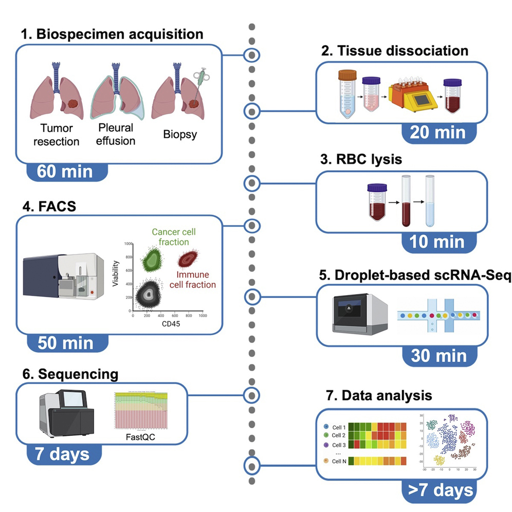 Cell Press: STAR Protocols