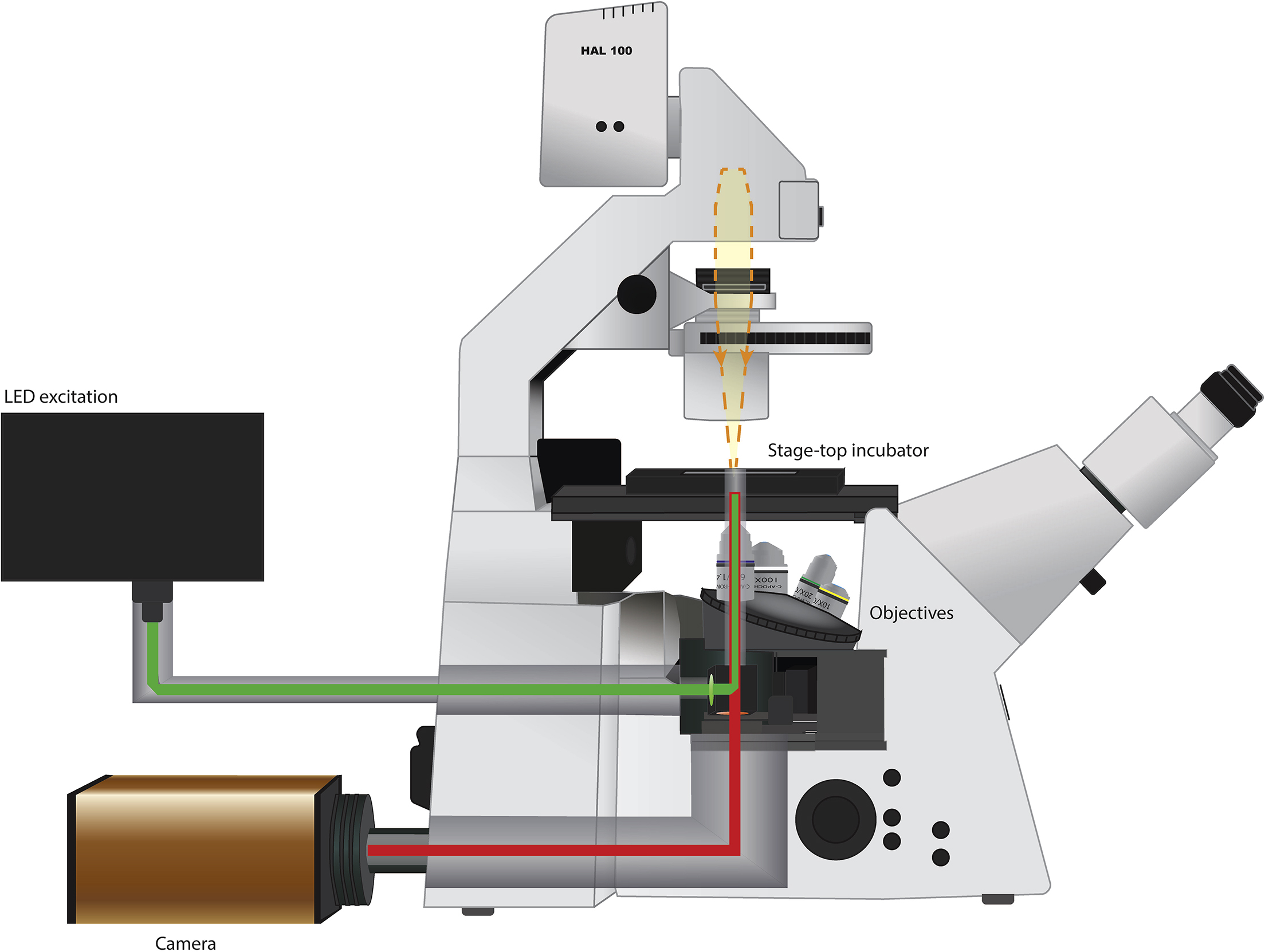 Cell Press: STAR Protocols