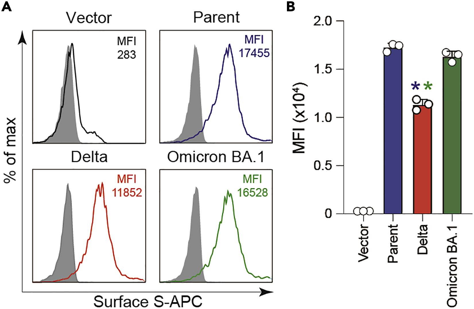 Cell Press: STAR Protocols