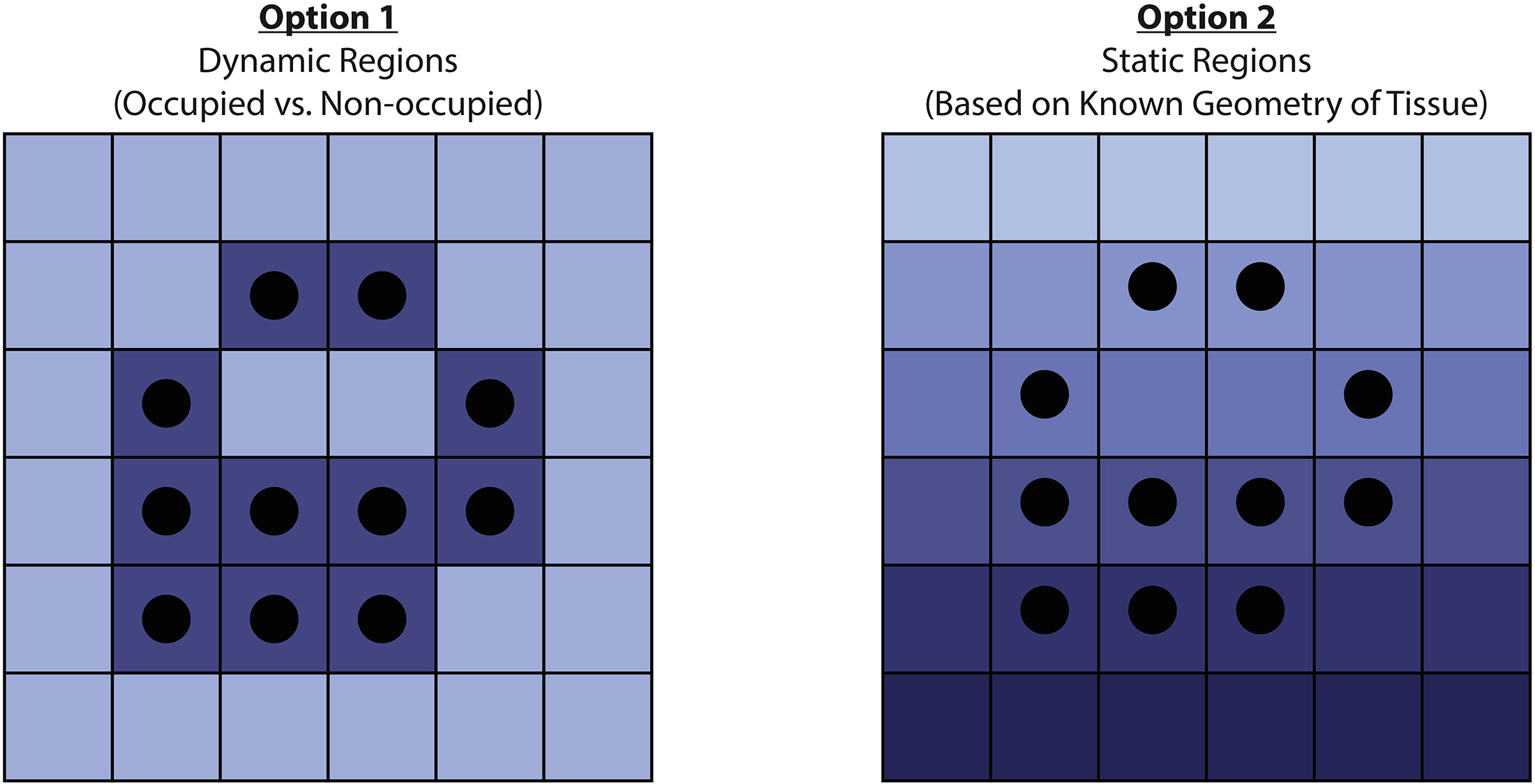 Cell Press: STAR Protocols